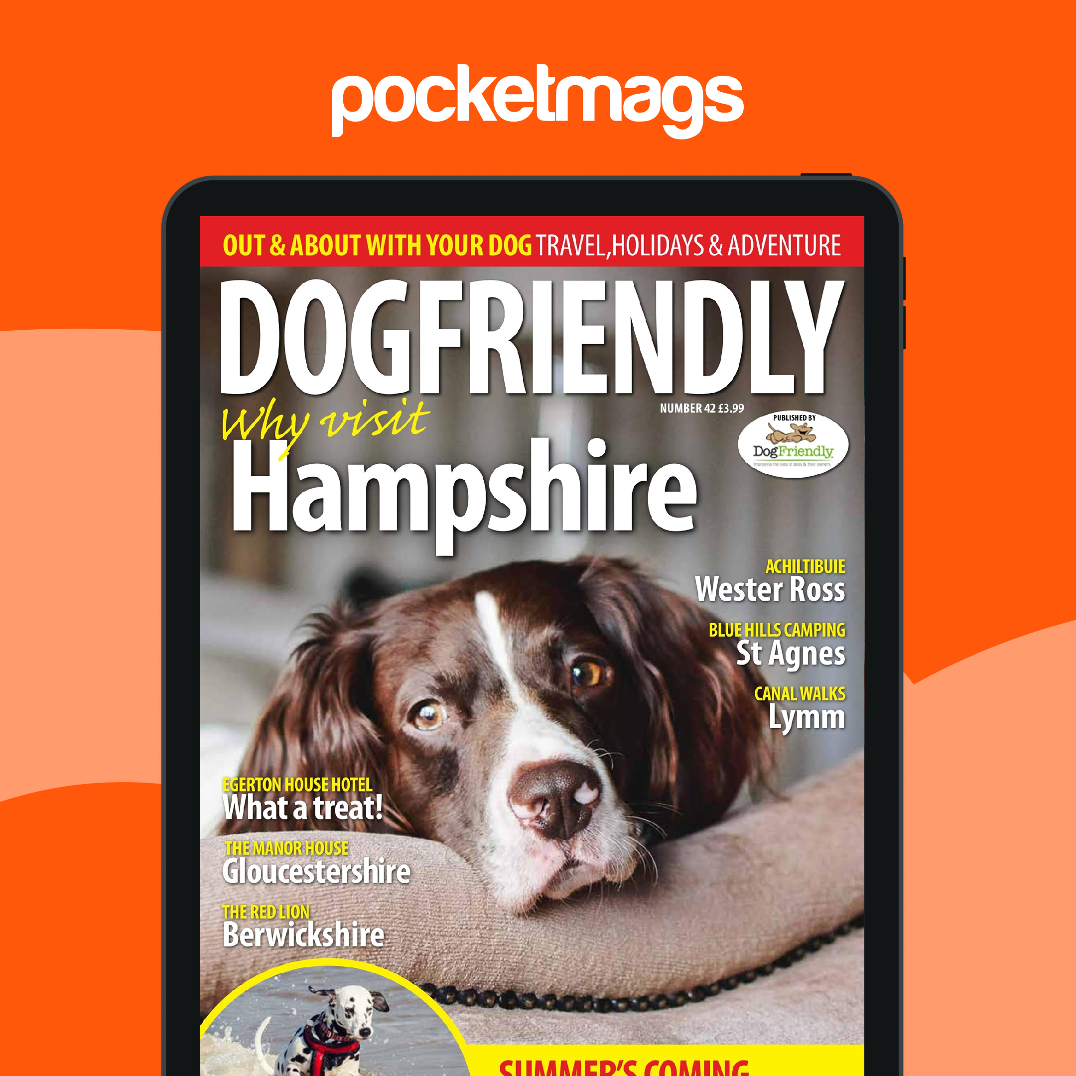 Dog Friendly Magazine - May-Jun 17 Back Issue