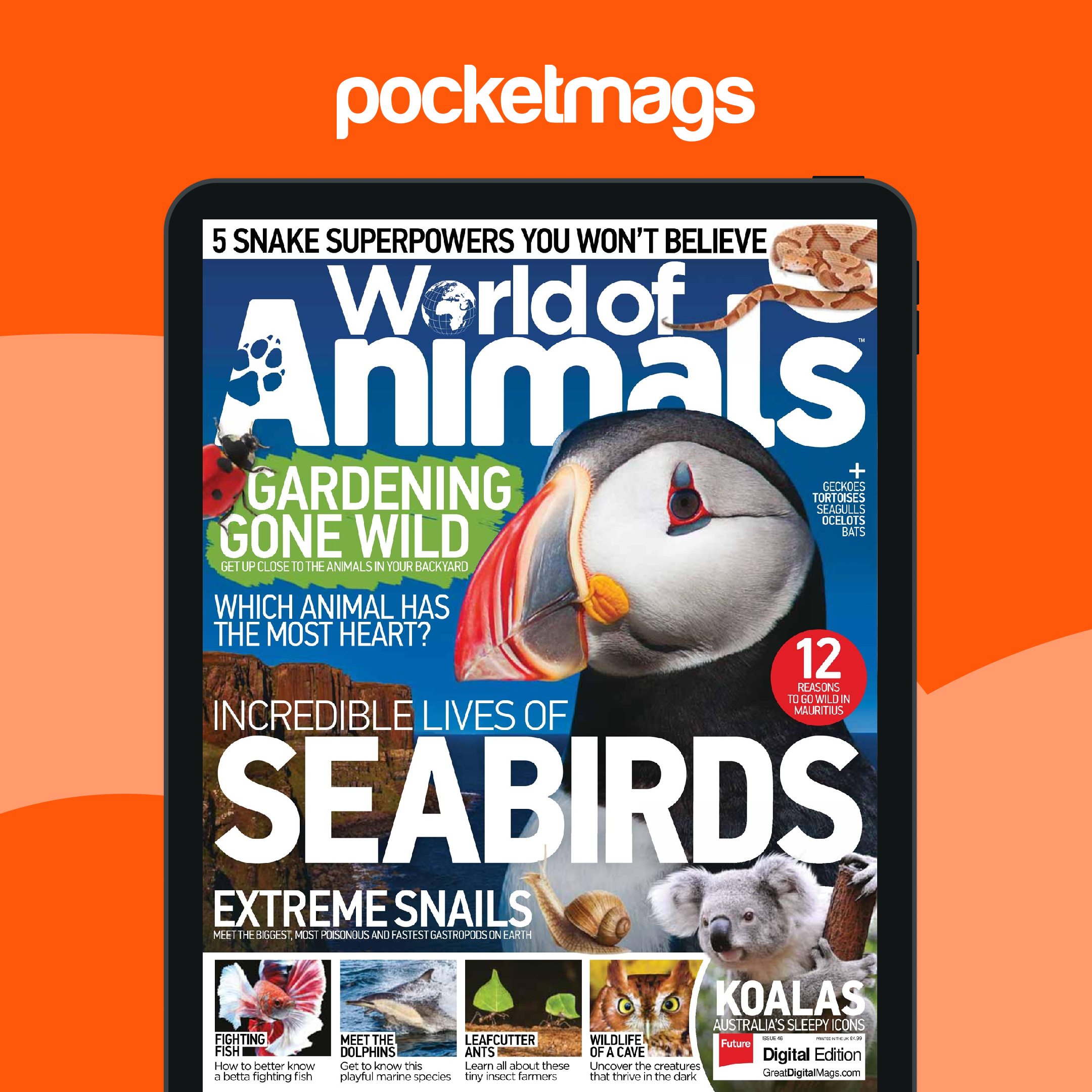 World of Animals Magazine - Issue 46 Edición anterior