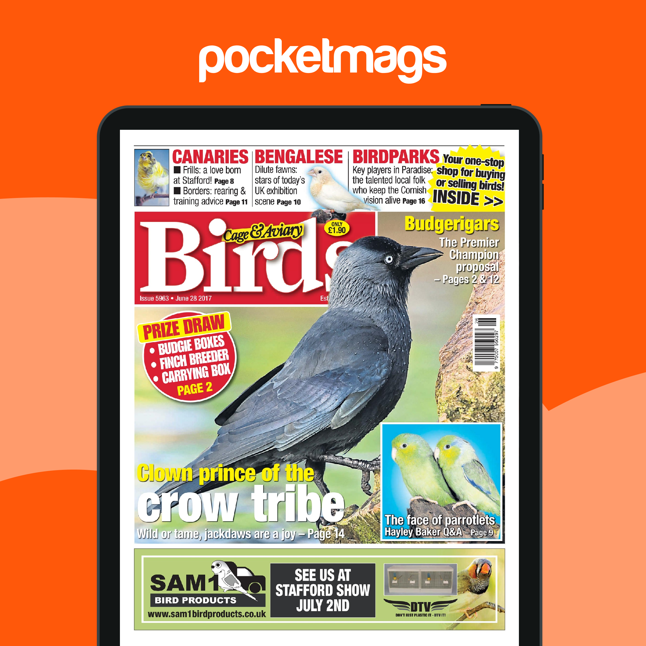 Cage & Aviary Birds Magazine - No. 5963 Clown prince of the crow tribe ...