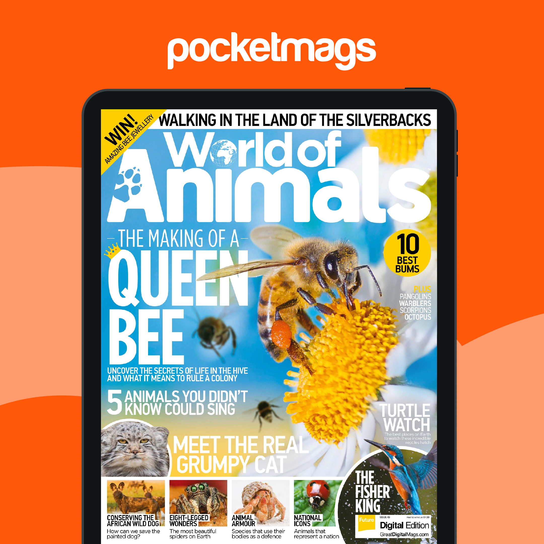 World of Animals Magazine - Issue 49 Retour à l'édition précédente