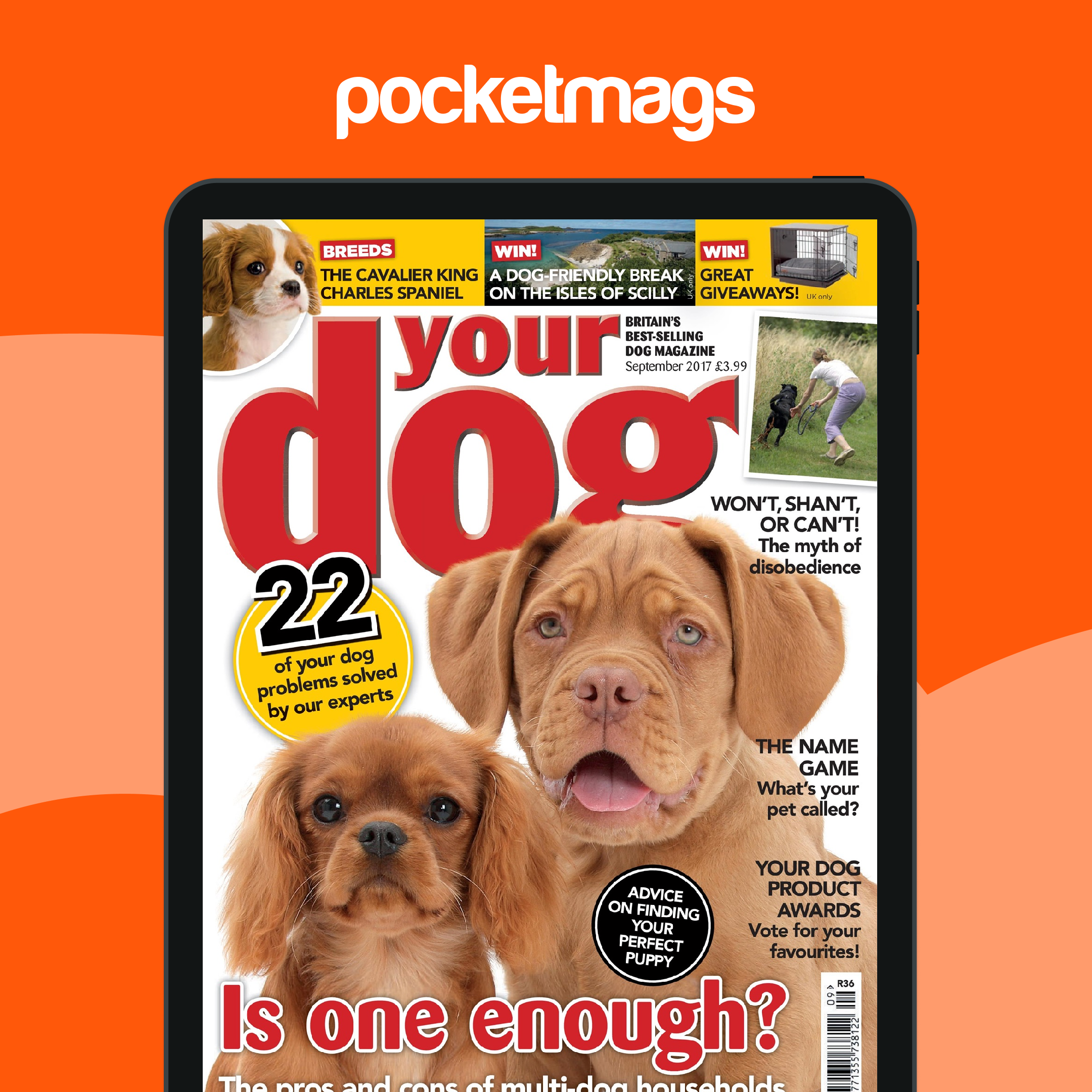 Your Dog Magazine - Your Dog Magazine September 2017 Edição anterior