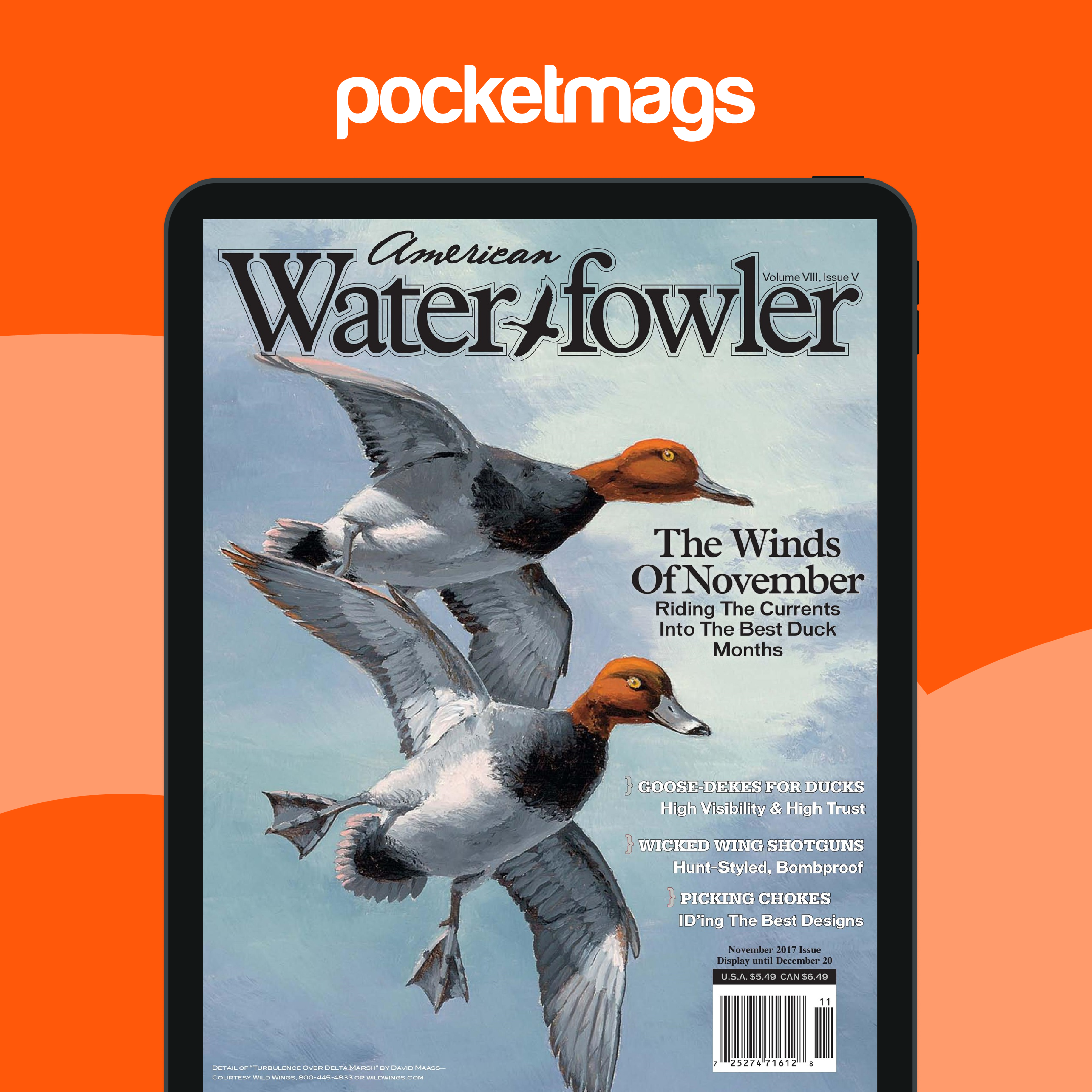 American Waterfowler Magazine - Volume VIII, Issue V Back Issue