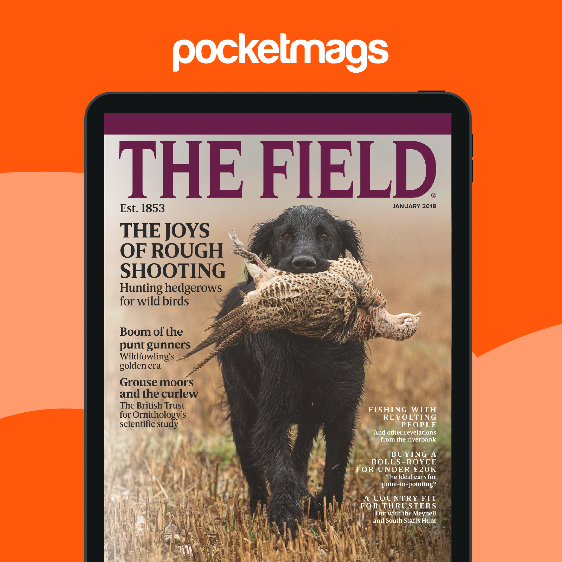 The Field Magazine - January 2018 Back Issue