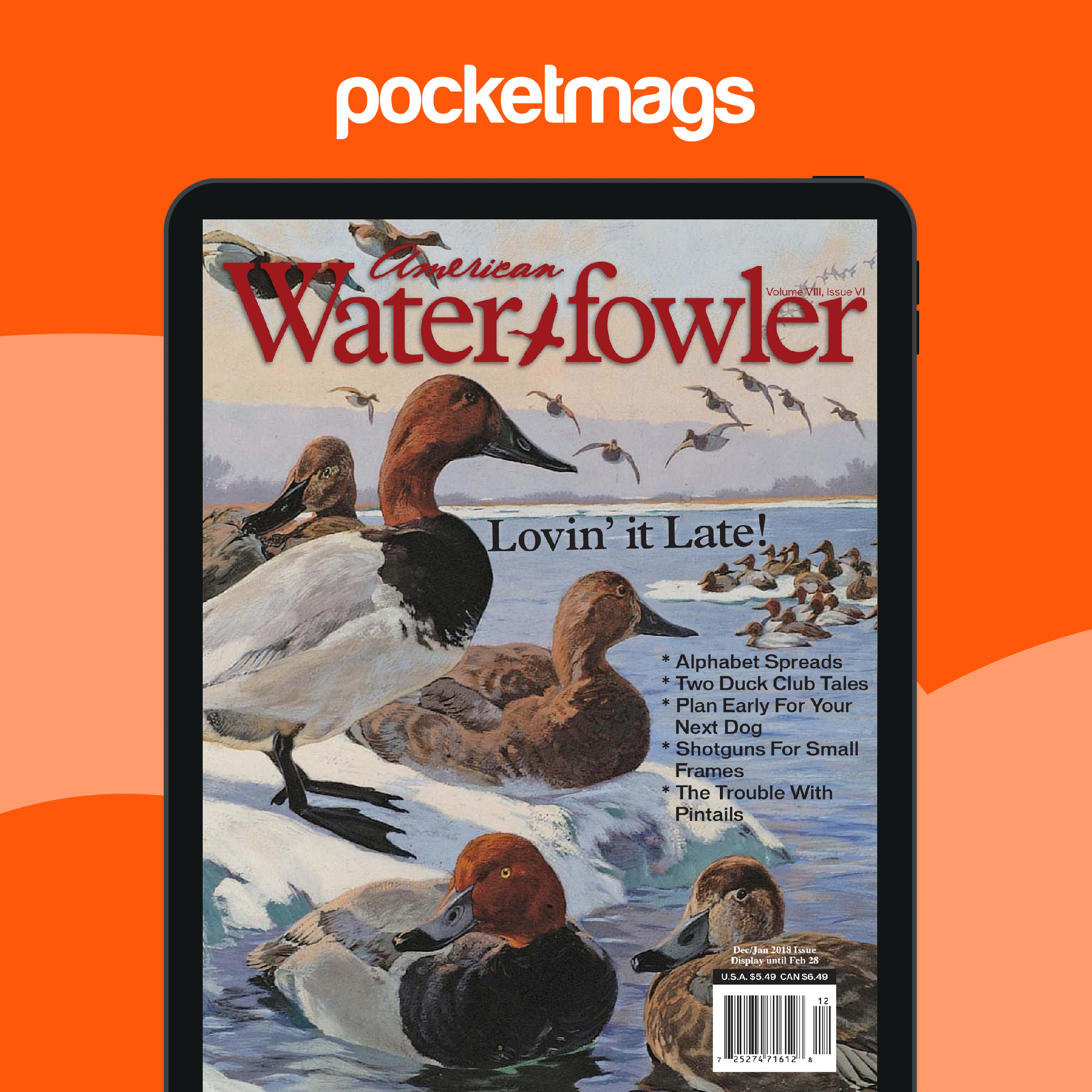 American Waterfowler Magazine - Volume VIII, Issue VI Back Issue