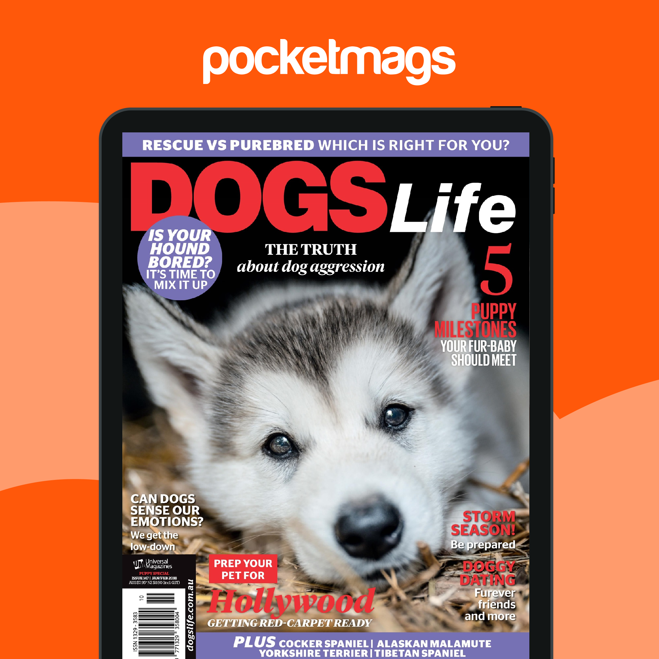 Dogs Life Magazine - Jan Issue#147 2018 Back Issue