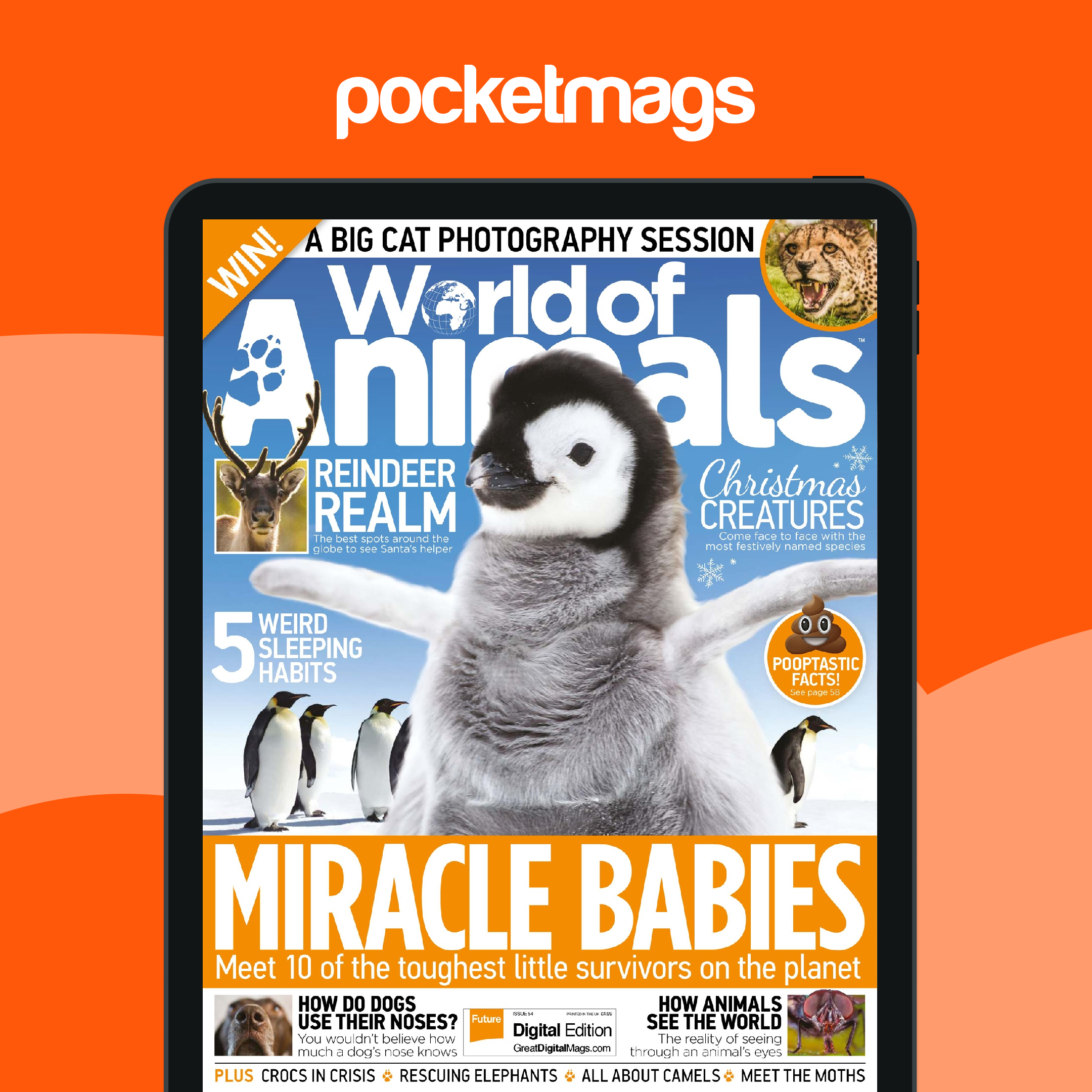 World of Animals Magazine - Issue 54 Back Issue