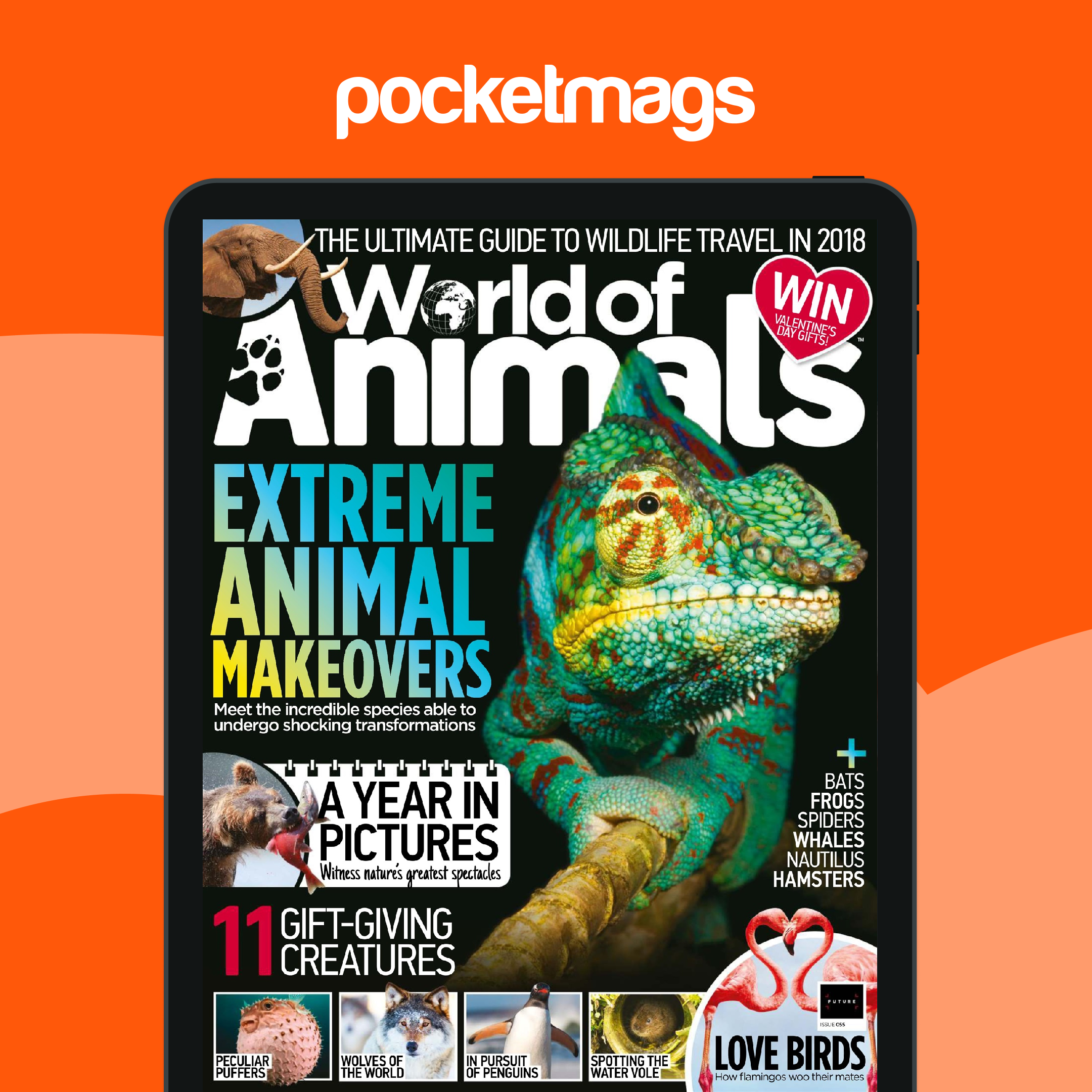 World of Animals Magazine - Issue 55 Back Issue