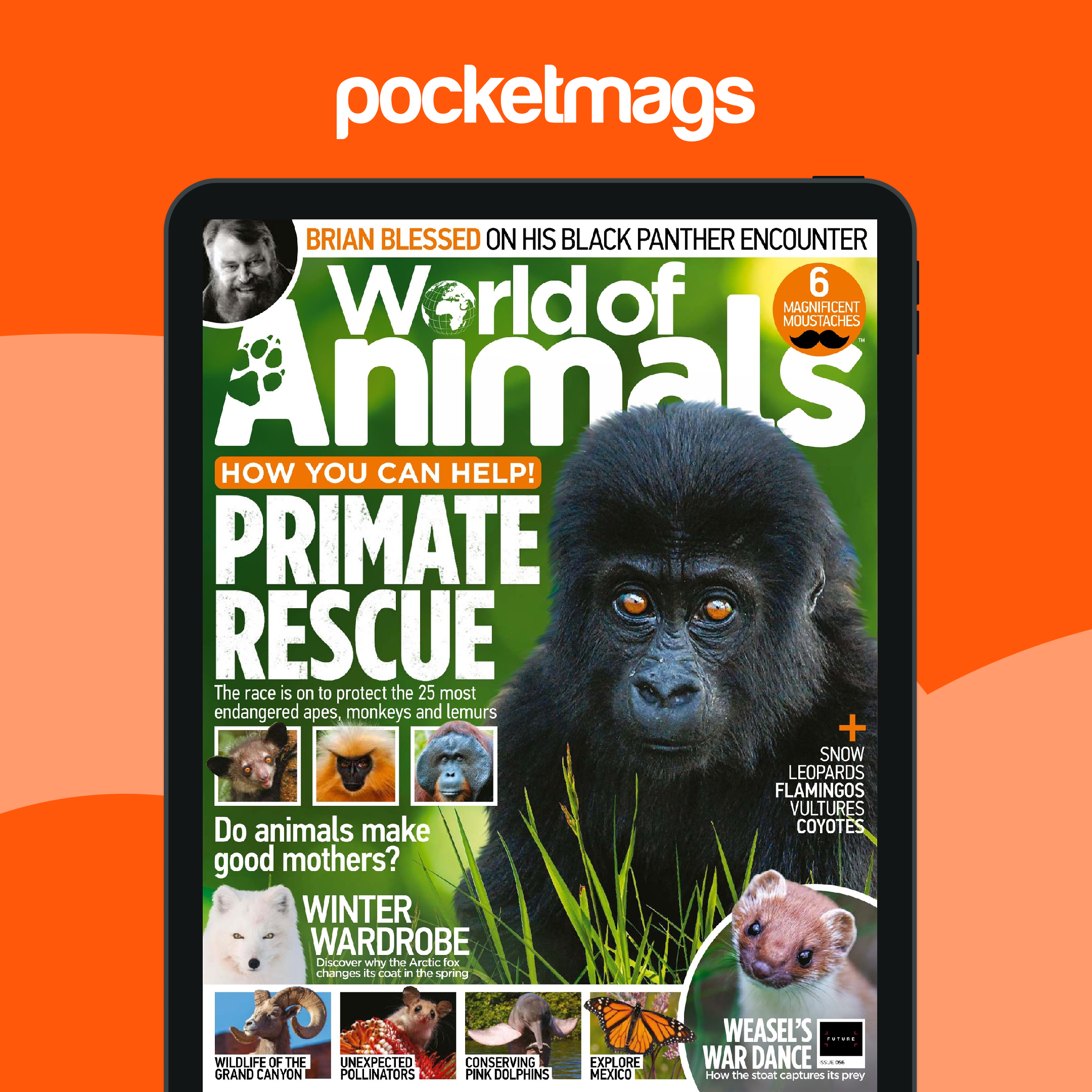 World of Animals Magazine - Issue 56 Retour à l'édition précédente