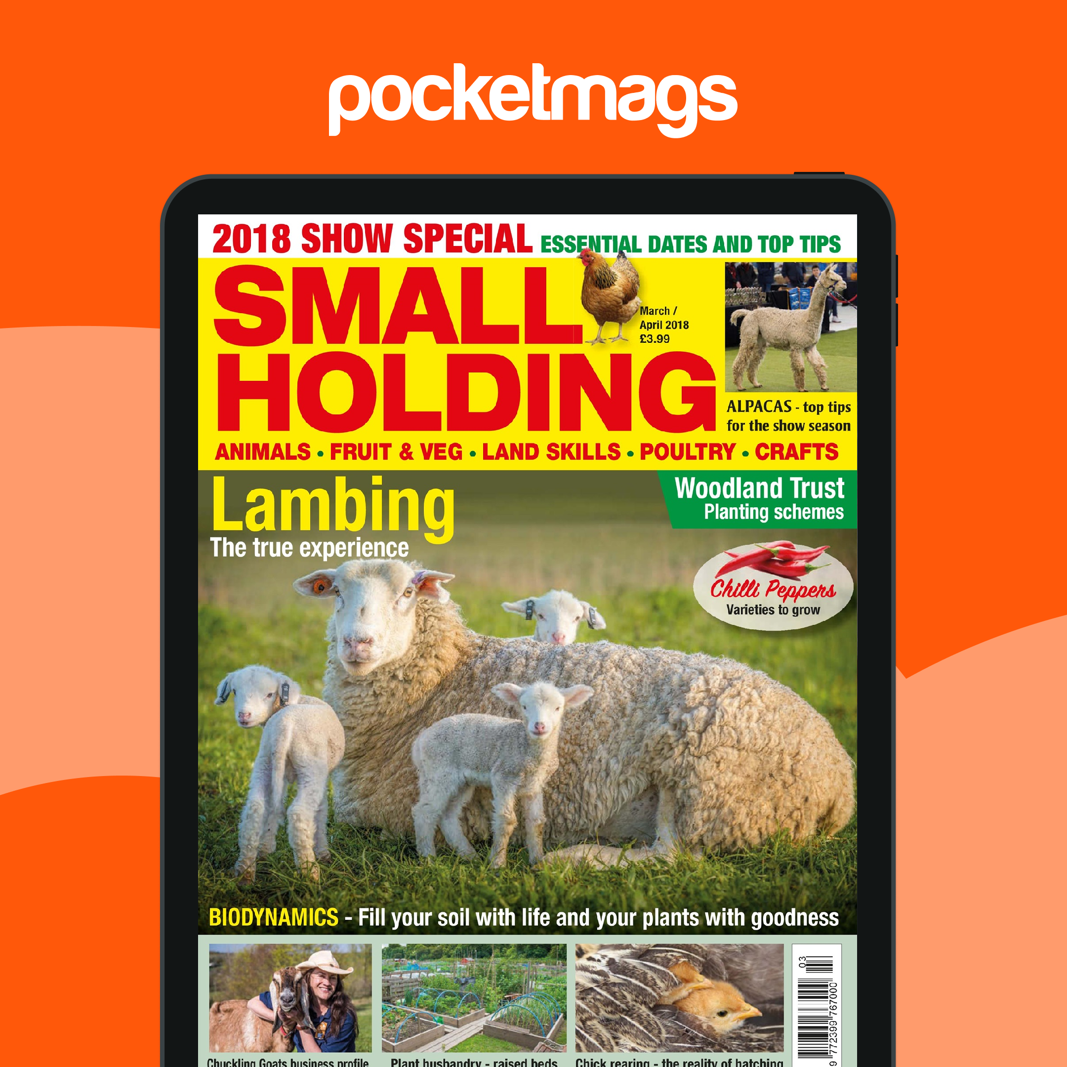 The Smallholder Magazine - Mar/Apr 2018 Retour à l'édition précédente