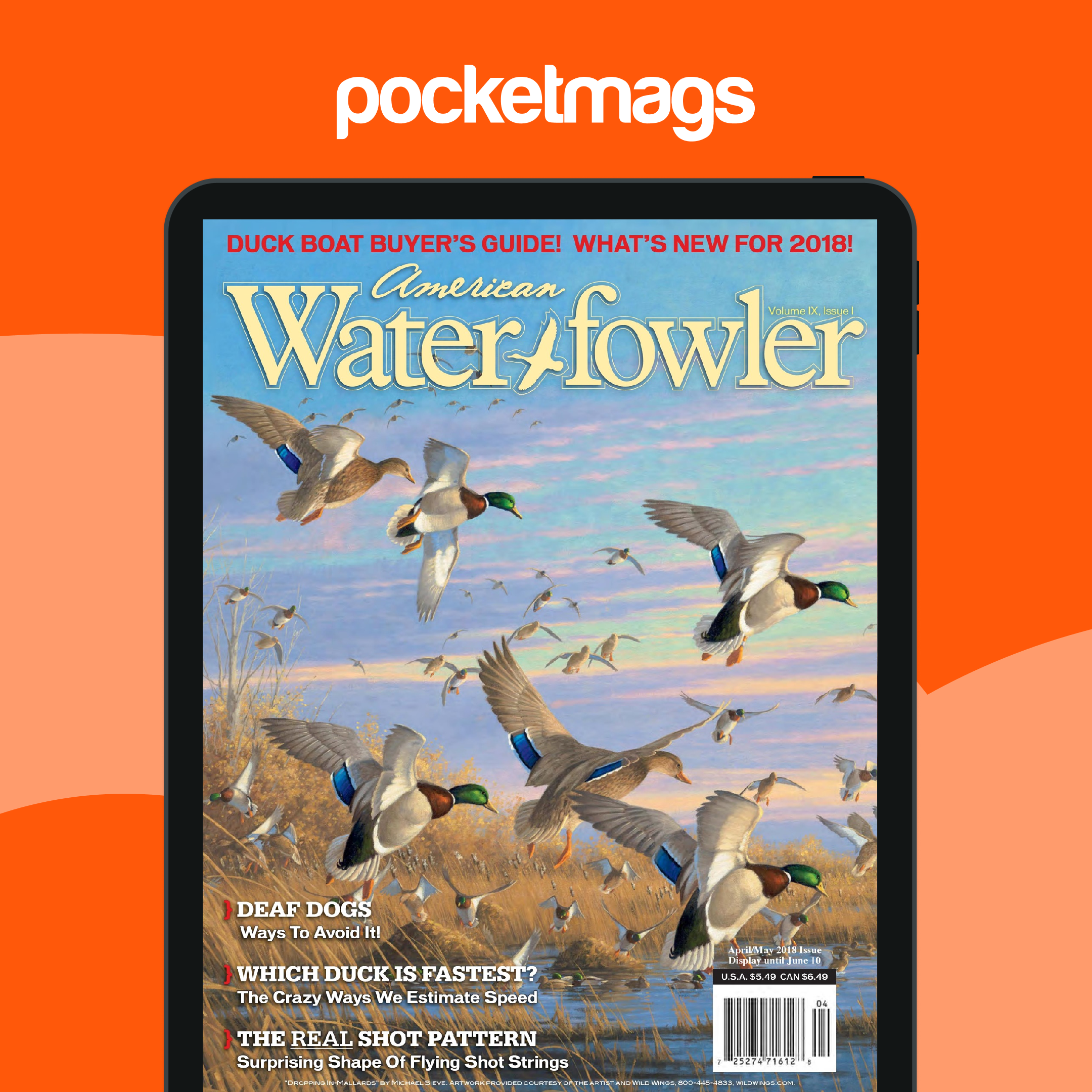 American Waterfowler Magazine - Volume IX, Issue I Back Issue