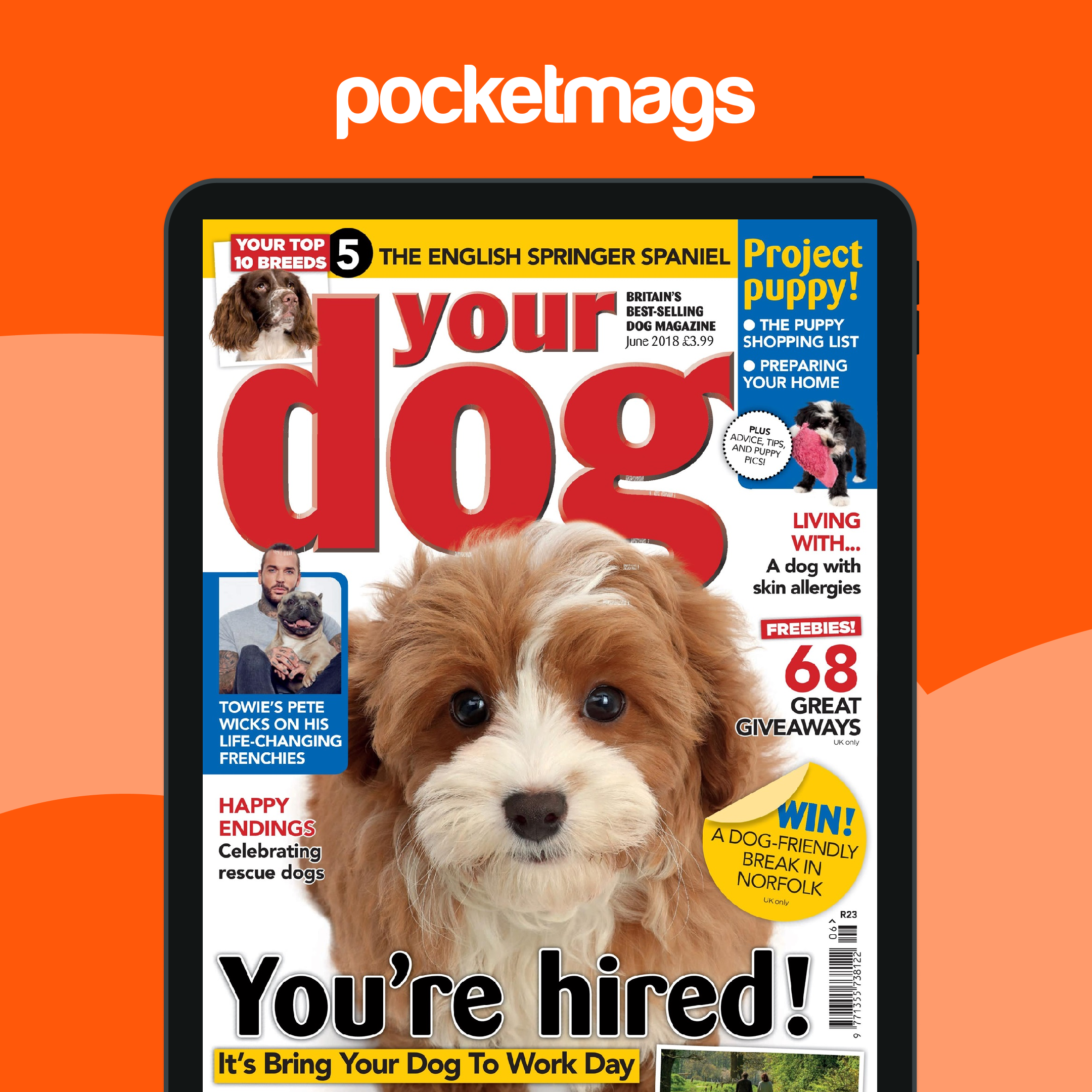 Your Dog Magazine - Your Dog Magazine June 2018 Back Issue