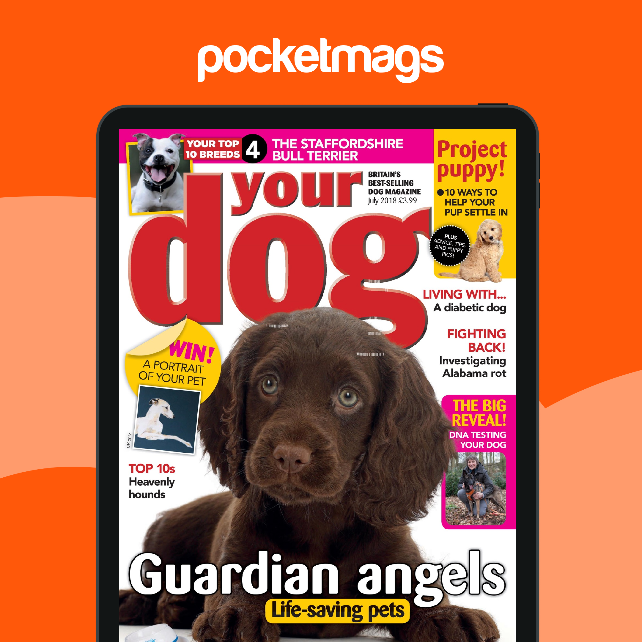Your Dog Magazine - Your Dog Magazine July 2018 Retour à l'édition ...