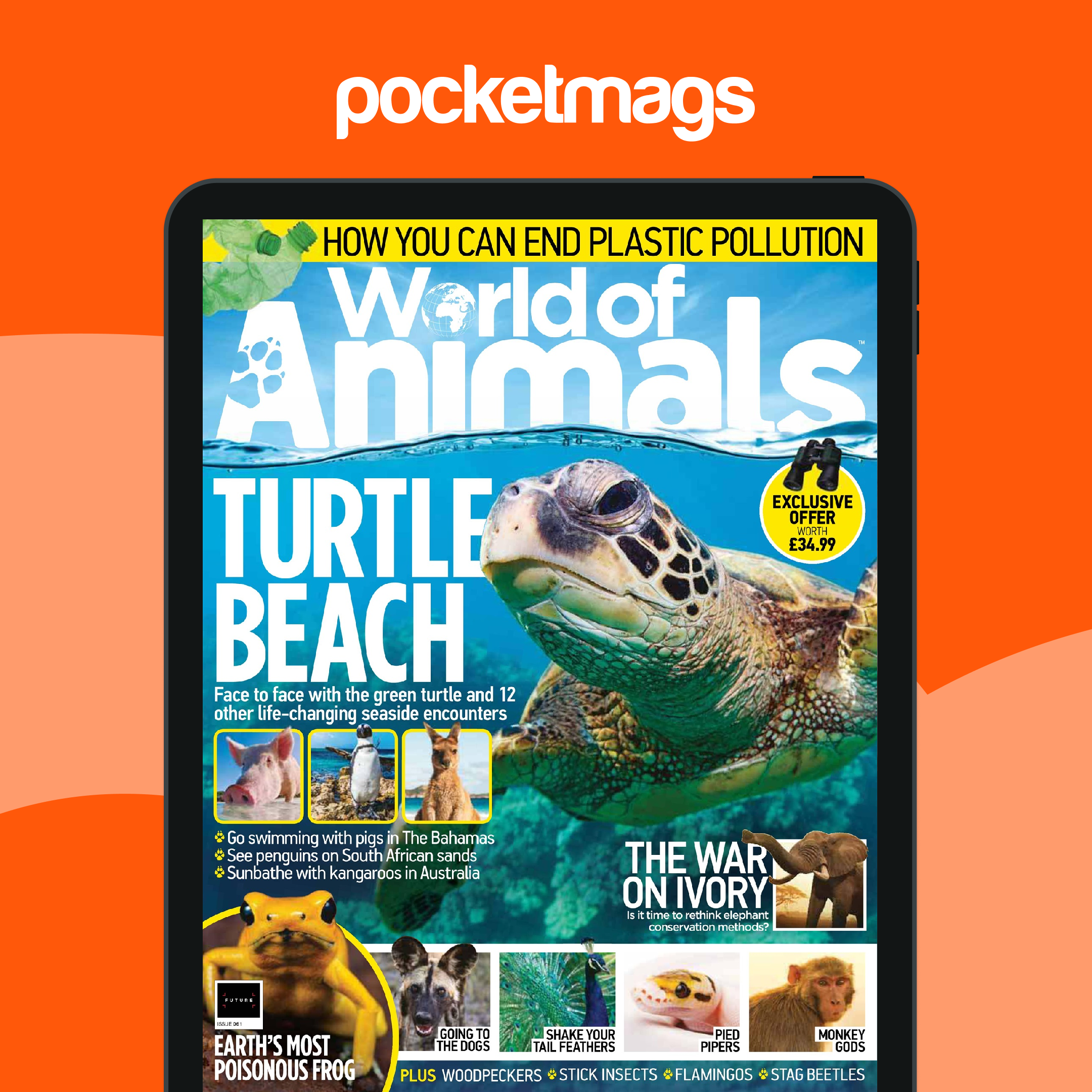 World of Animals Magazine - Issue 61 Back Issue