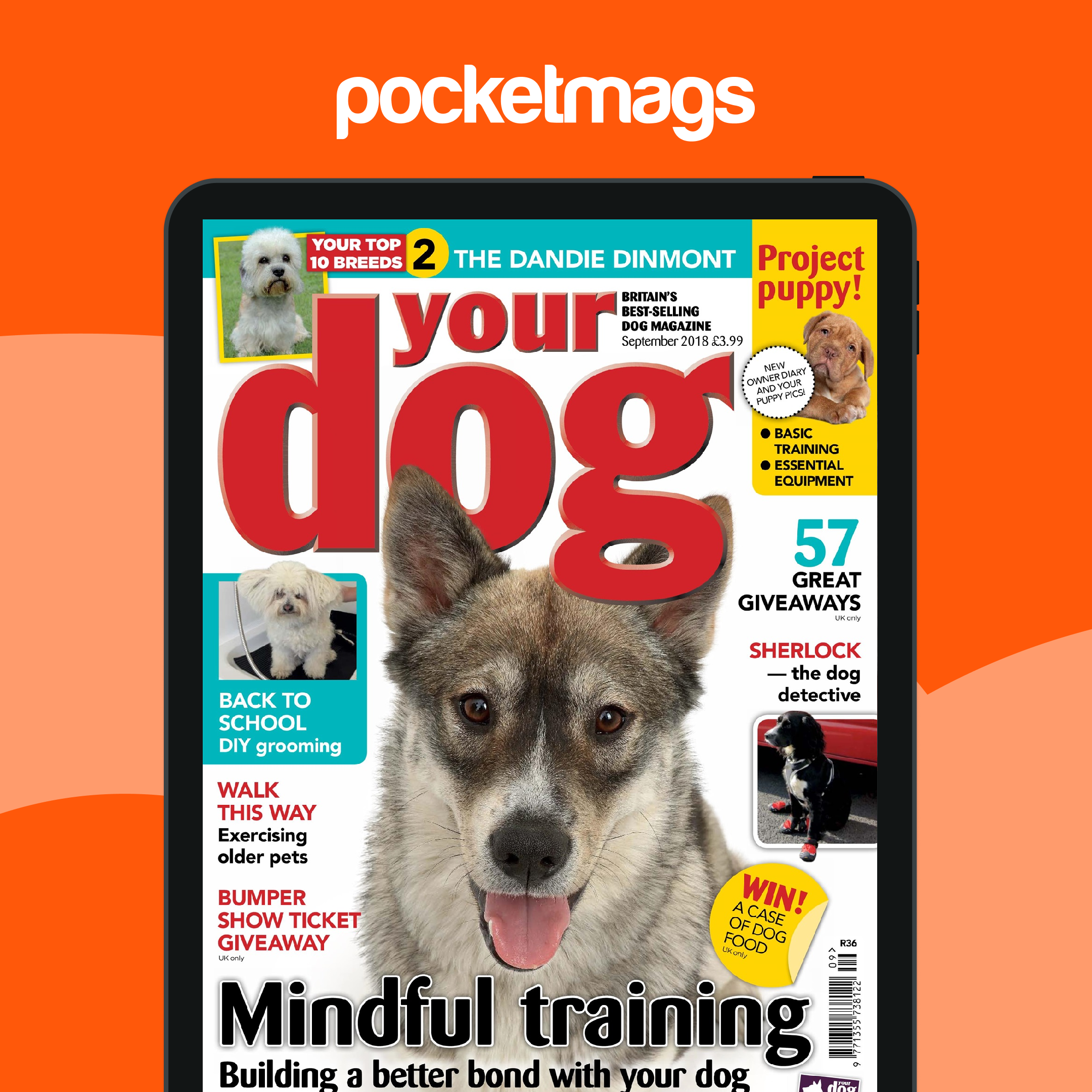 Your Dog Magazine - Your Dog Magazine September 2018 Back Issue