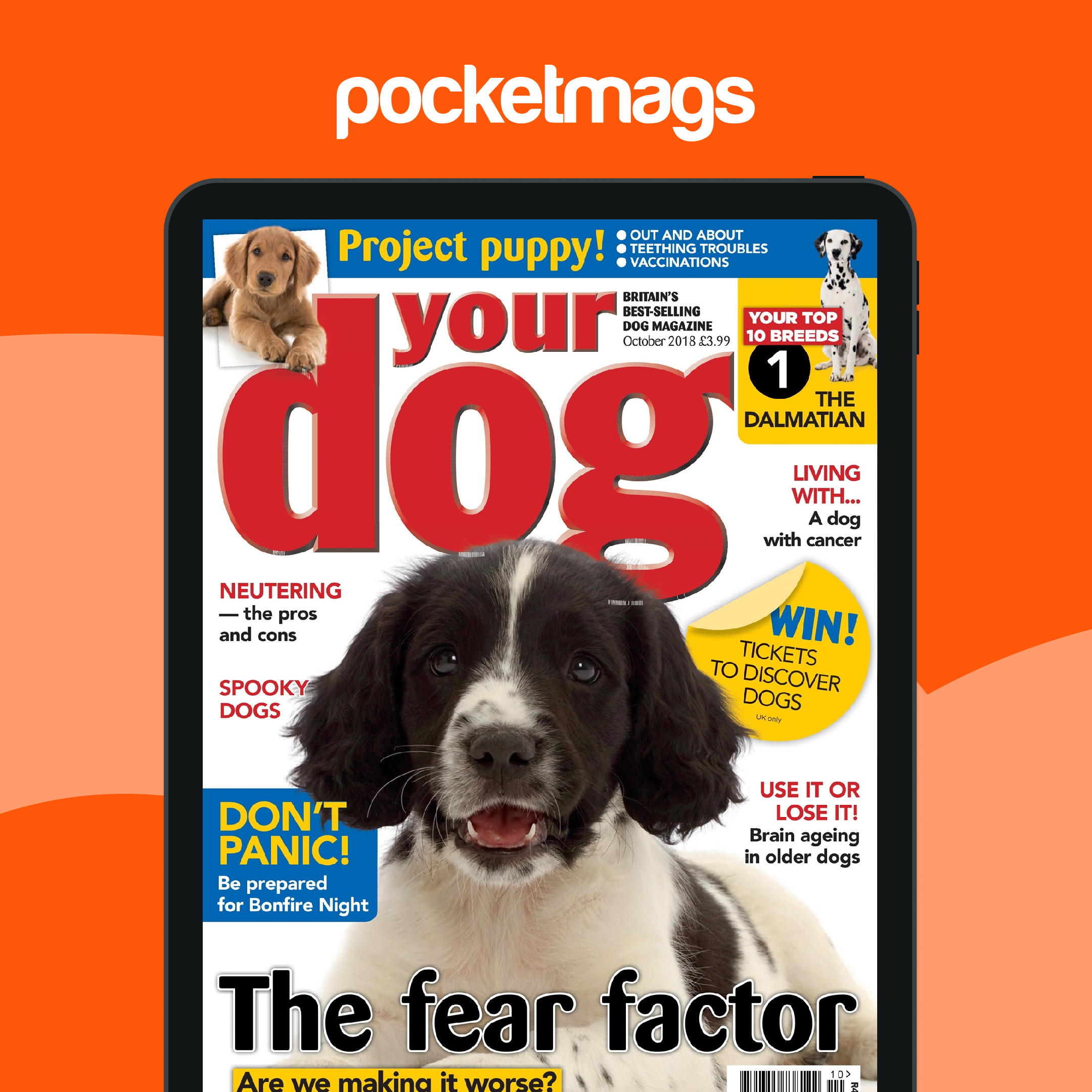 Your Dog Magazine - Your Dog Magazine October 2018 Retour à l'édition ...