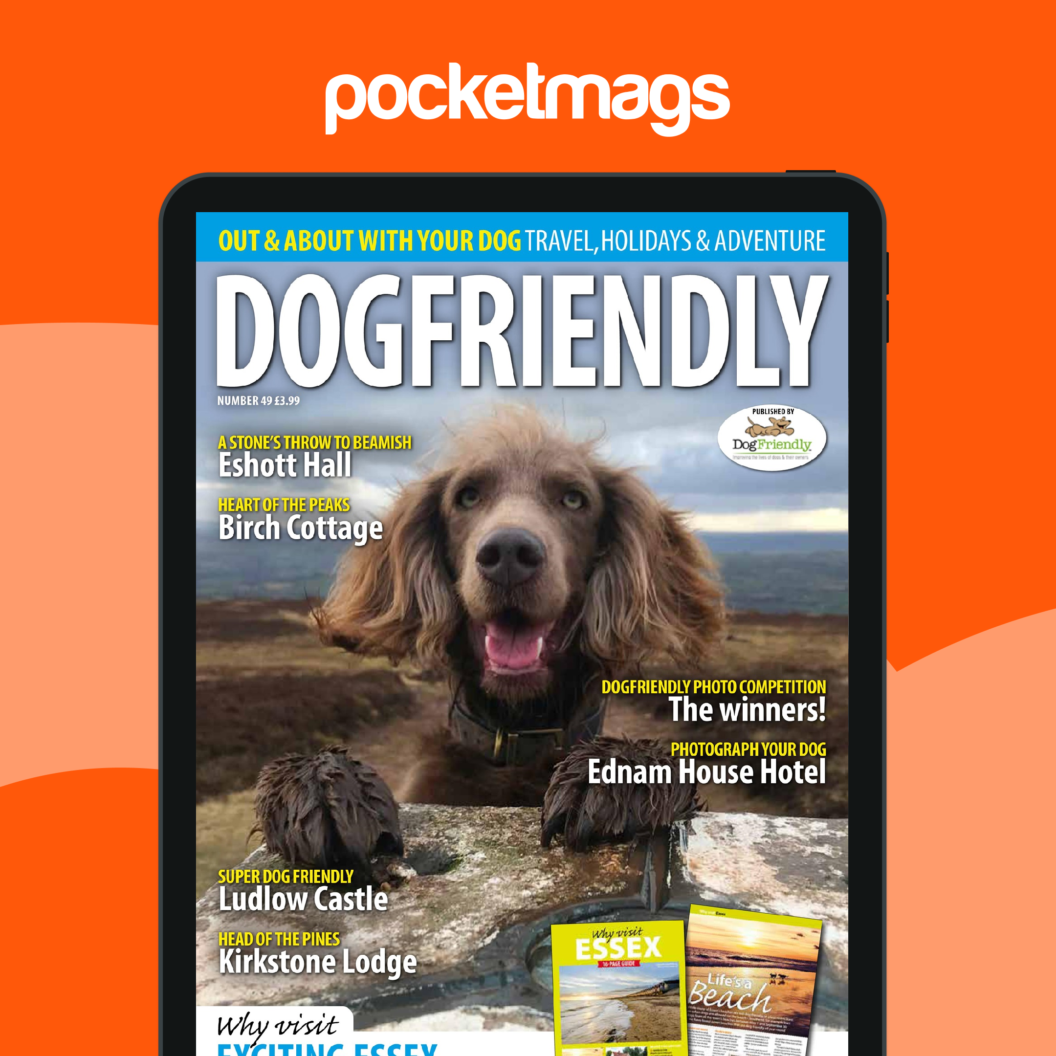 Dog Friendly Magazine - Sep-Oct 18 Back Issue