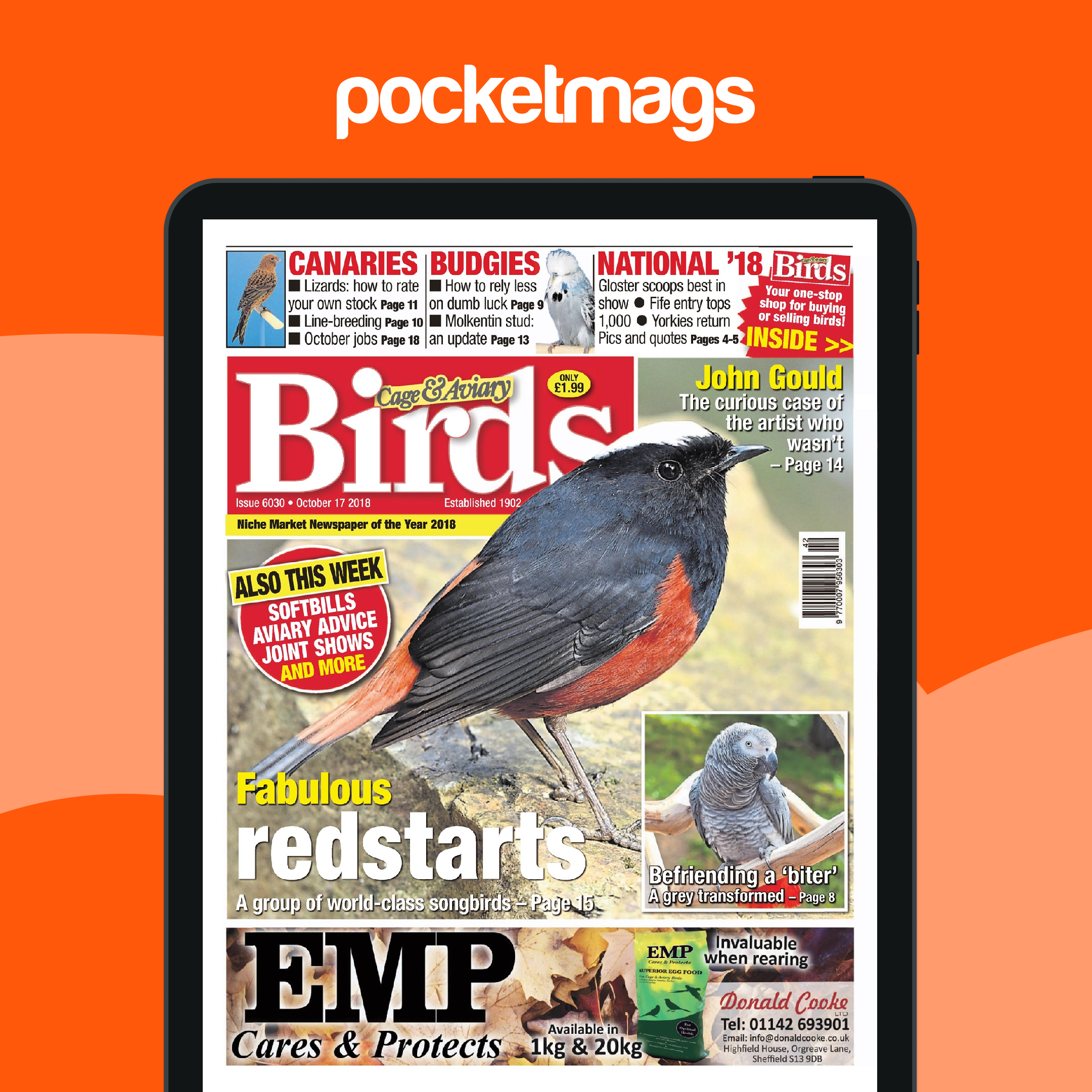 Cage & Aviary Birds Magazine - 17th October 2018 Edición anterior