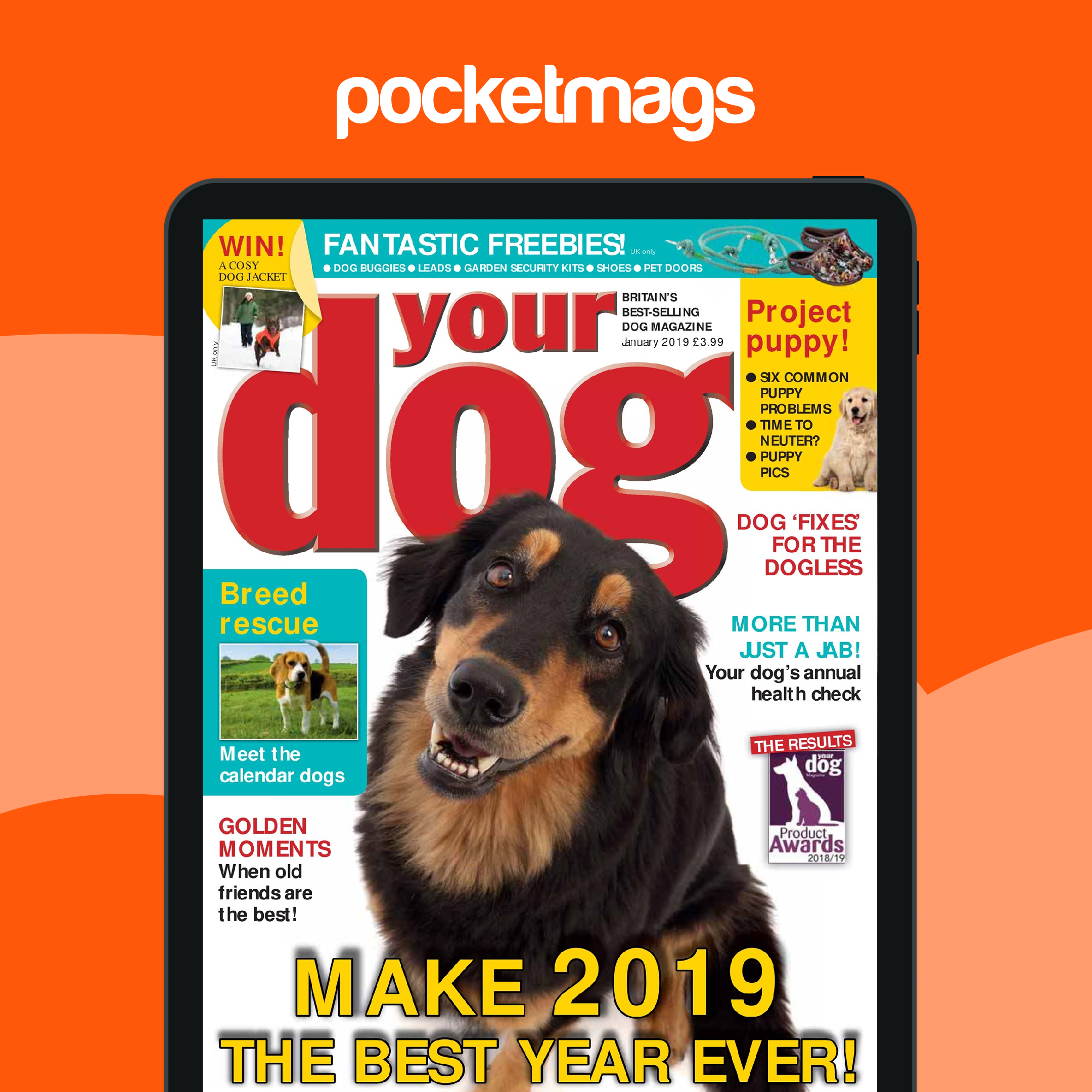 Your Dog Magazine - Your Dog Magazine January 2019 Back Issue