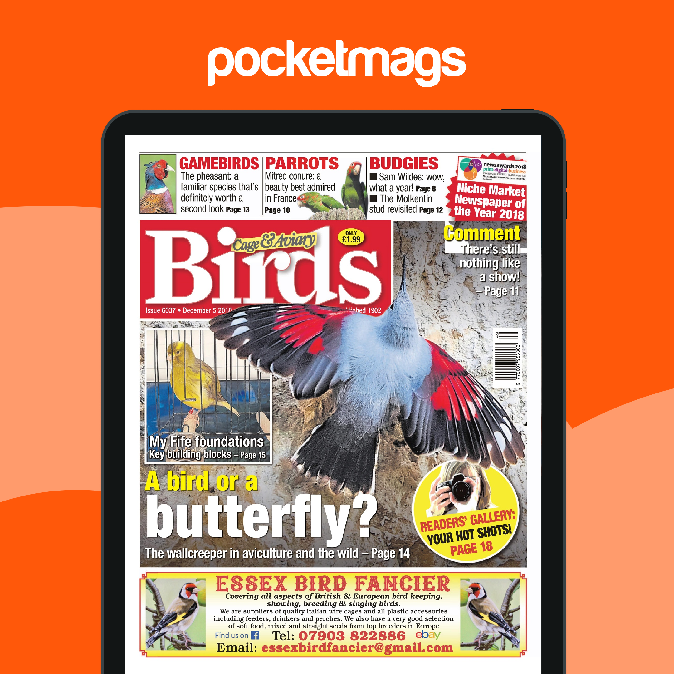Cage & Aviary Birds Magazine - 5th December 2018 Edición anterior