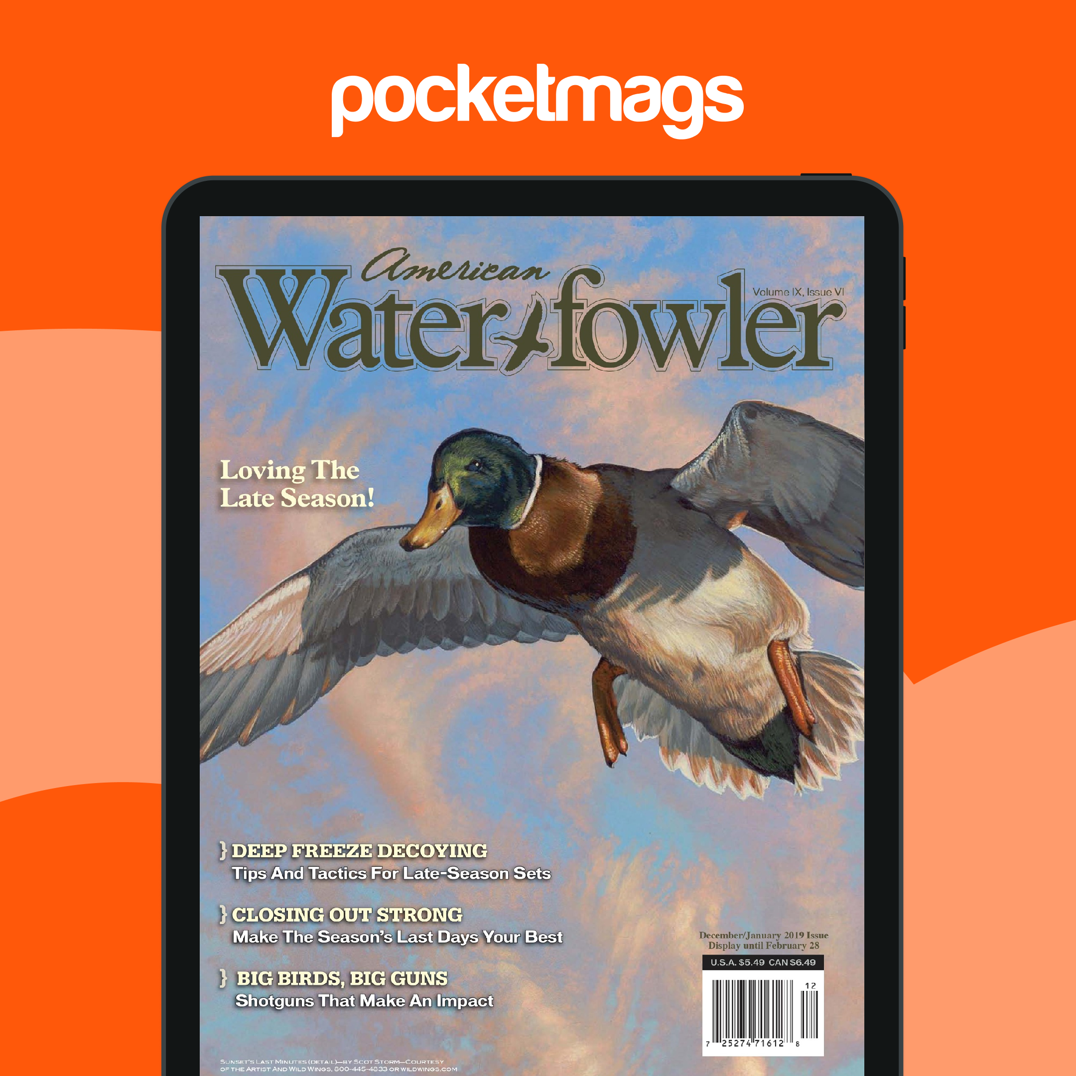 American Waterfowler Magazine - Volume IX, Issue VI Back Issue