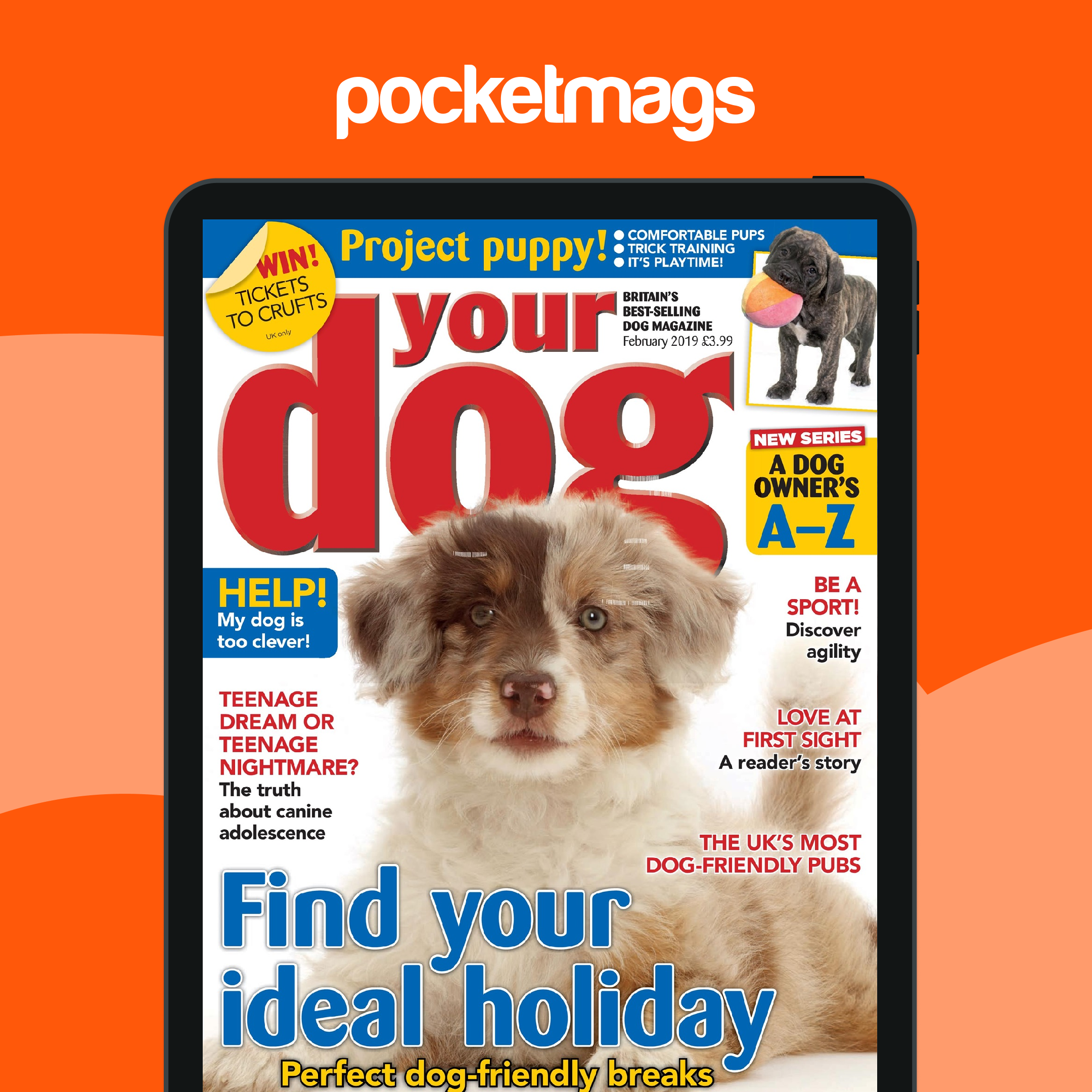 Your Dog Magazine - Your Dog Magazine February 2019 Back Issue