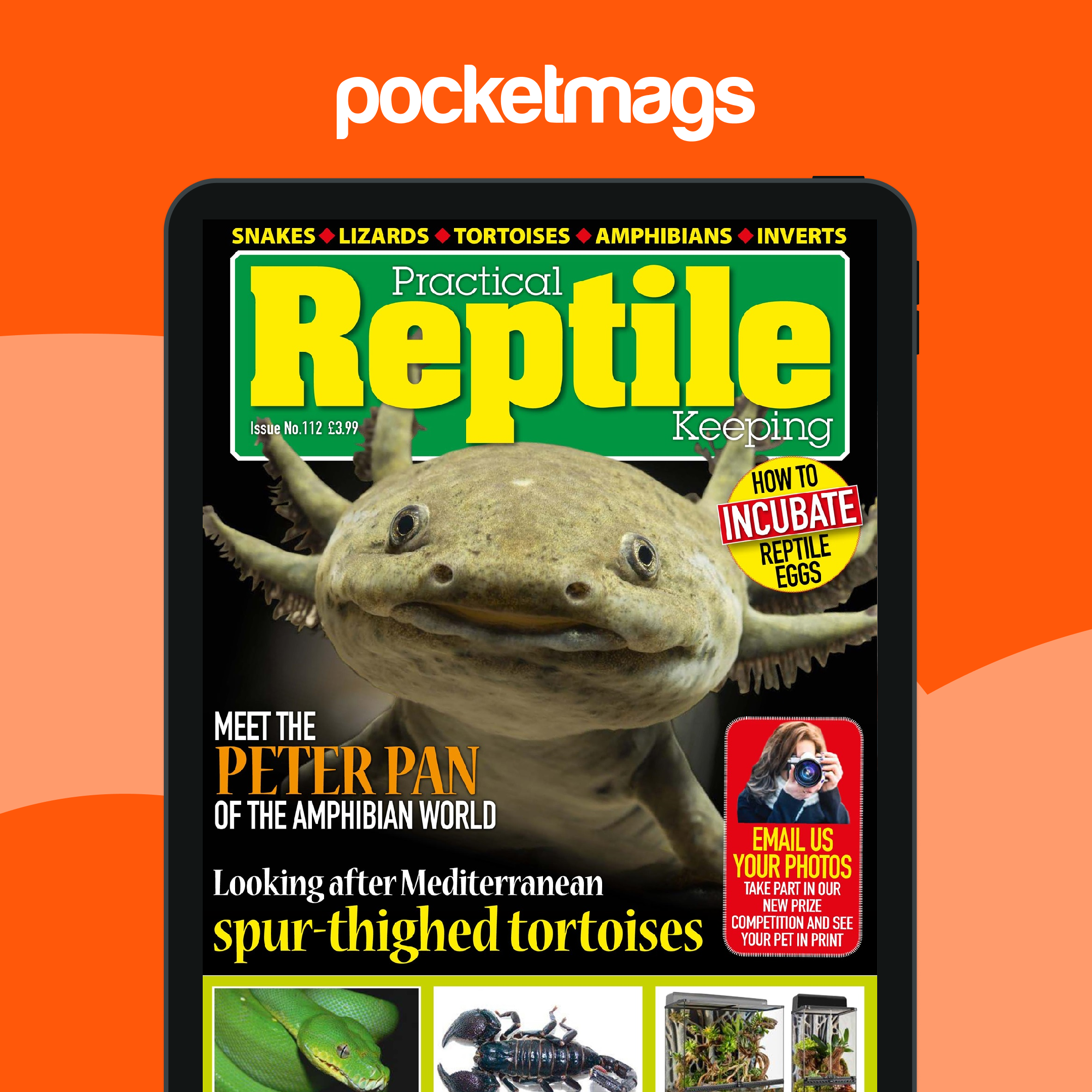 Practical Reptile Keeping Magazine - Issue 112 Edición anterior