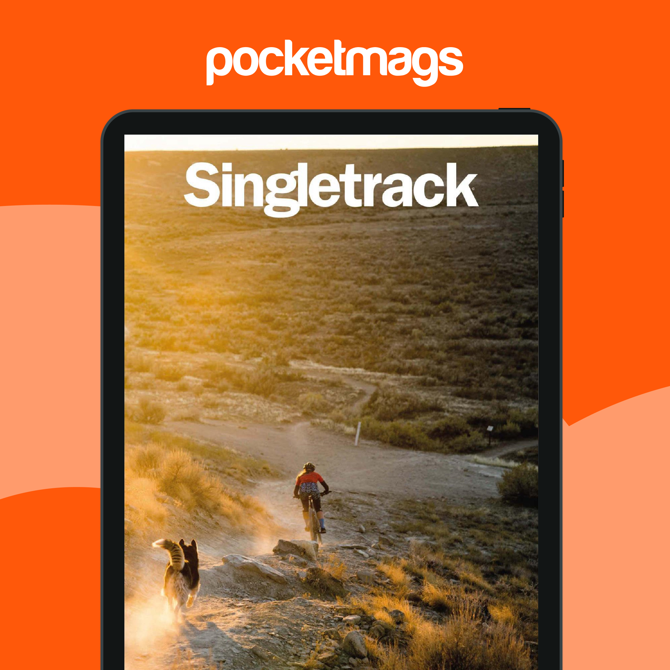 Singletrack Magazine - 124 Back Issue