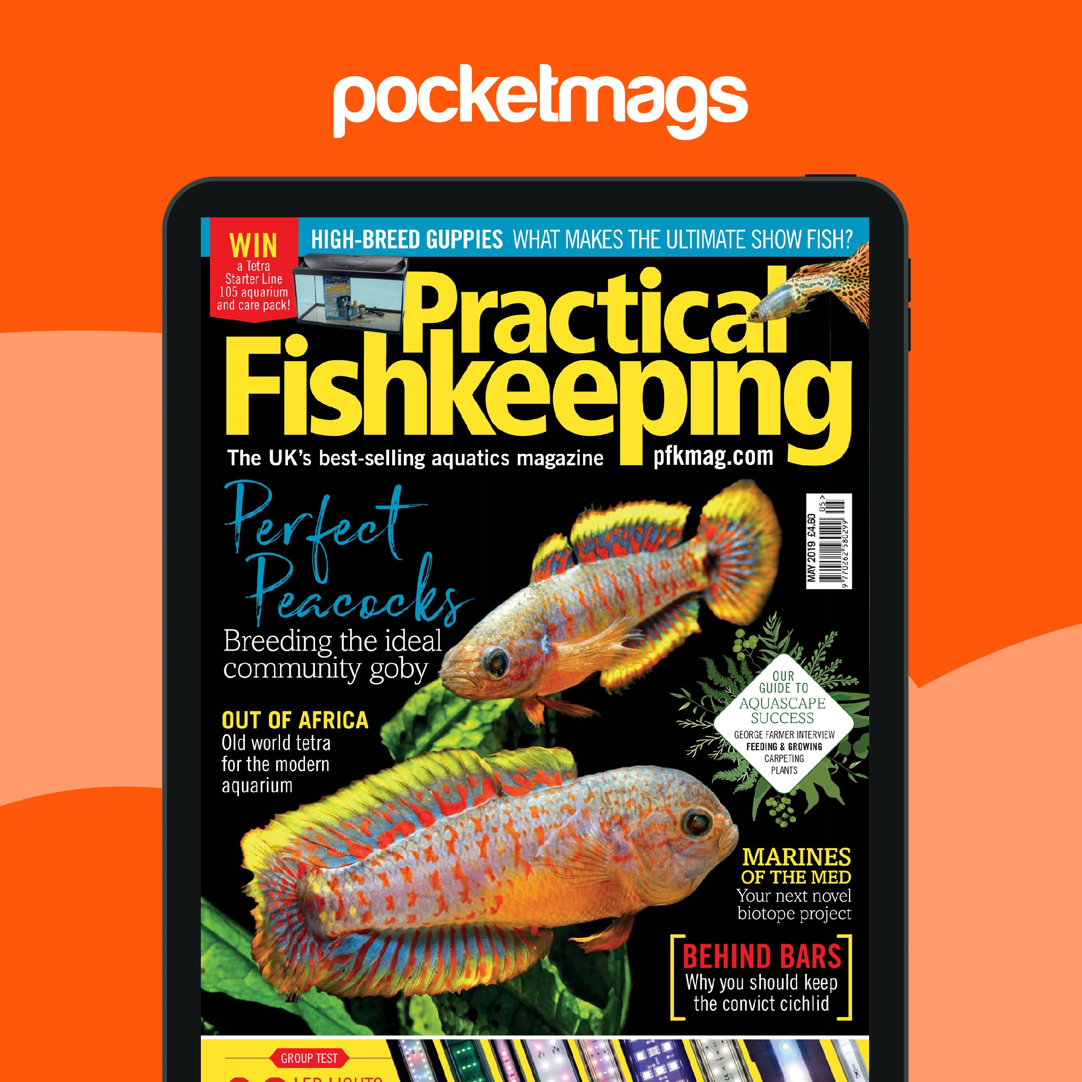 Practical Fishkeeping Magazine - Practical Fishkeeping Magazine May ...