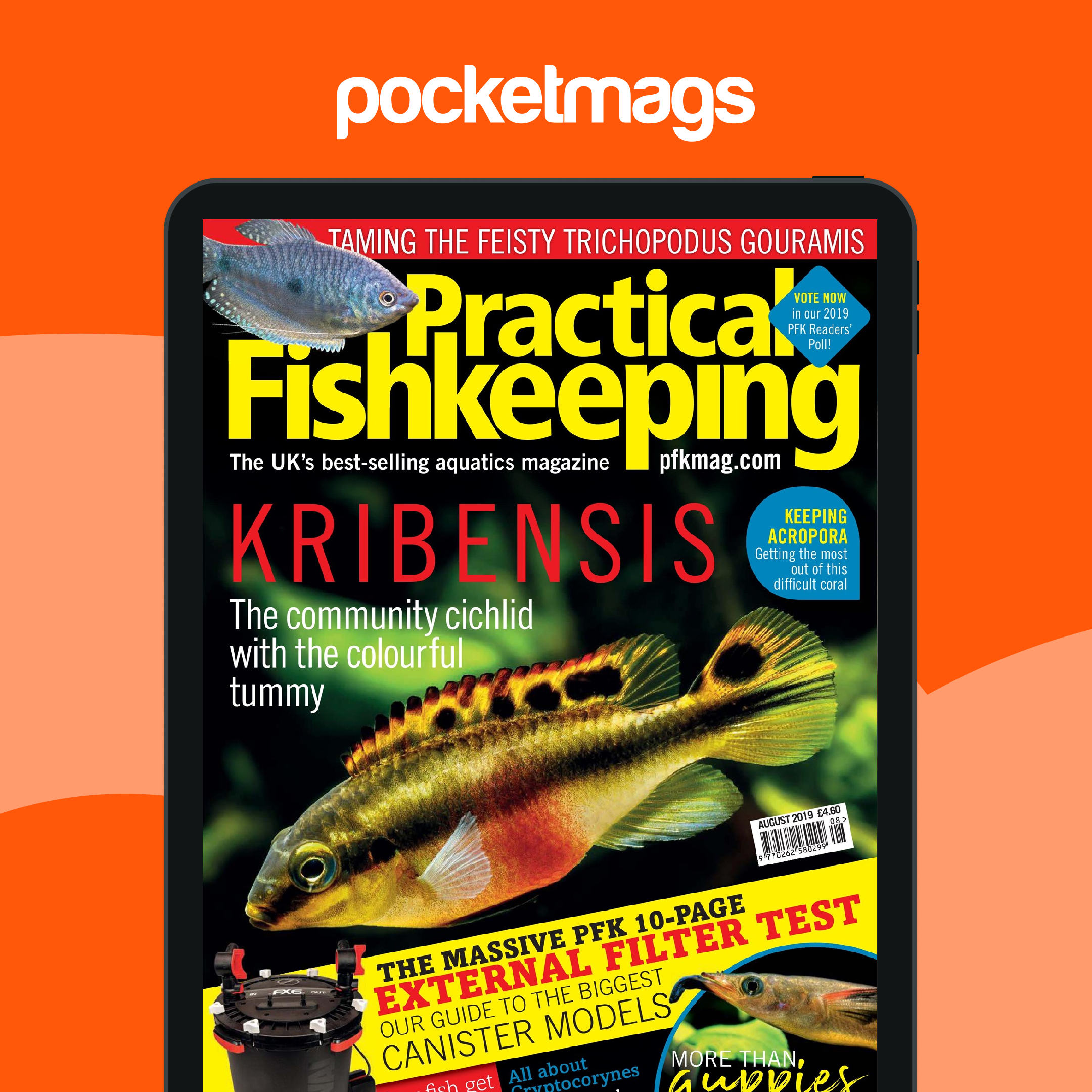 Practical Fishkeeping Magazine - Practical Fishkeeping Magazine August ...