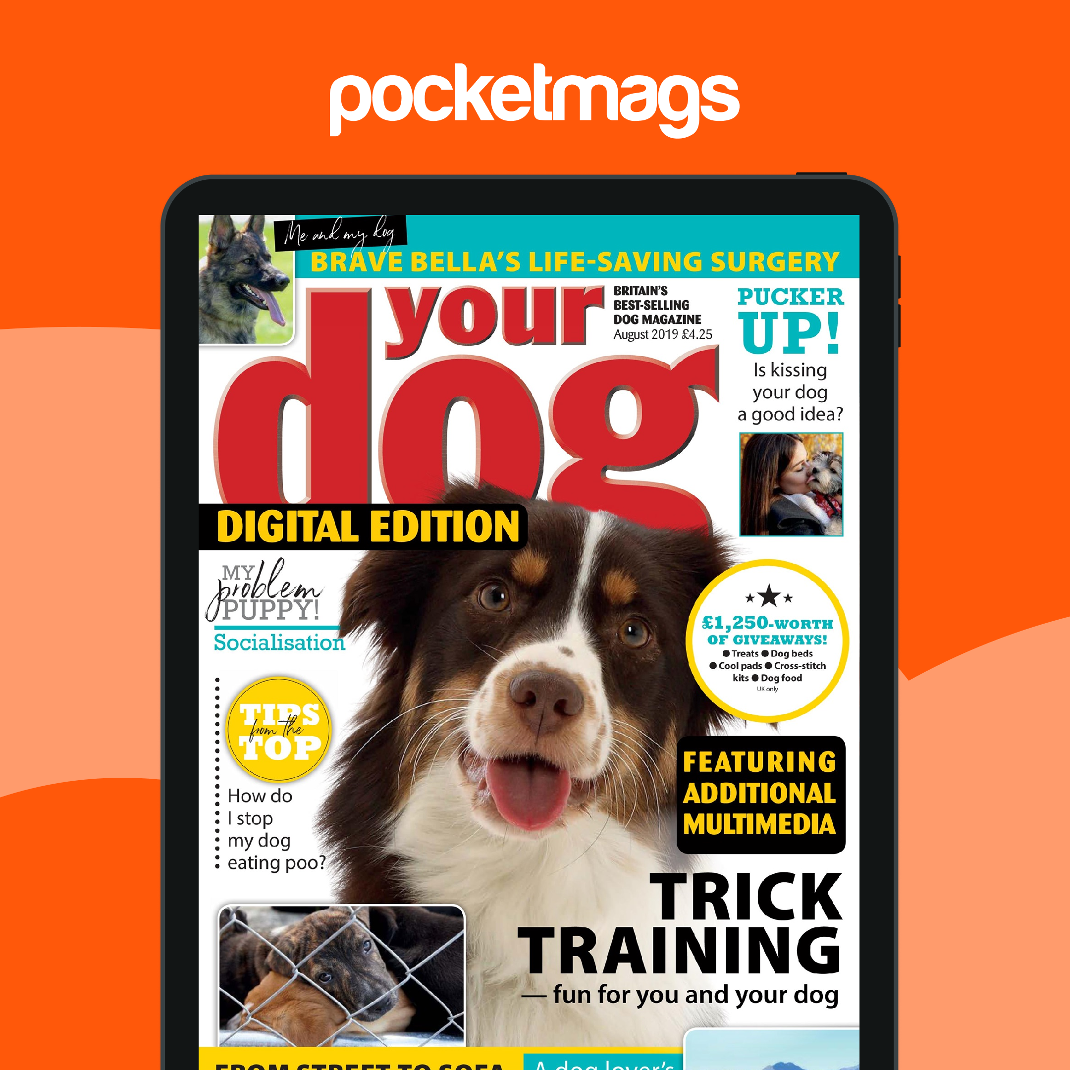 Your Dog Magazine - Your Dog Magazine August 2019 Retour à l'édition ...