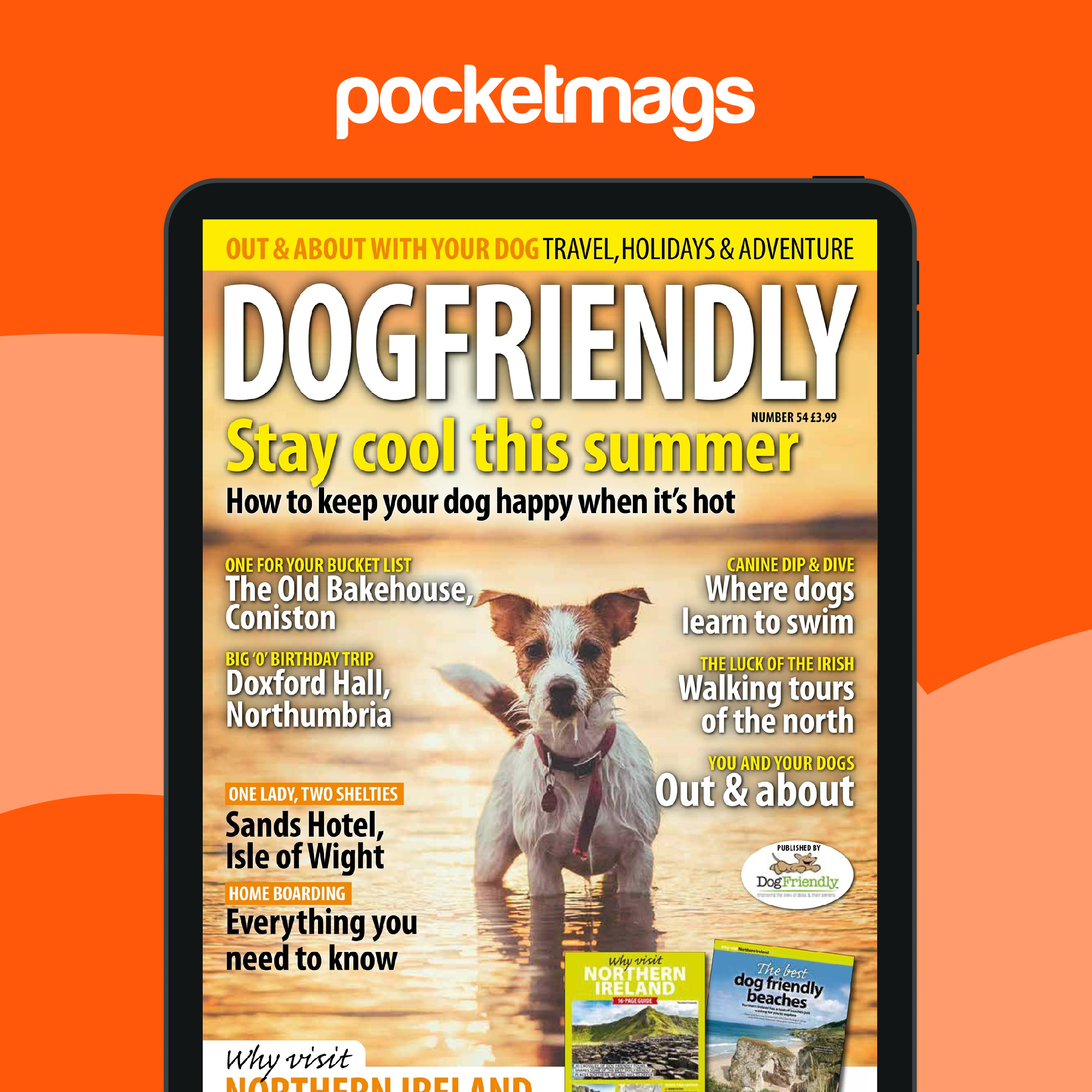 Dog Friendly Magazine - Jul-Aug 2019 Back Issue