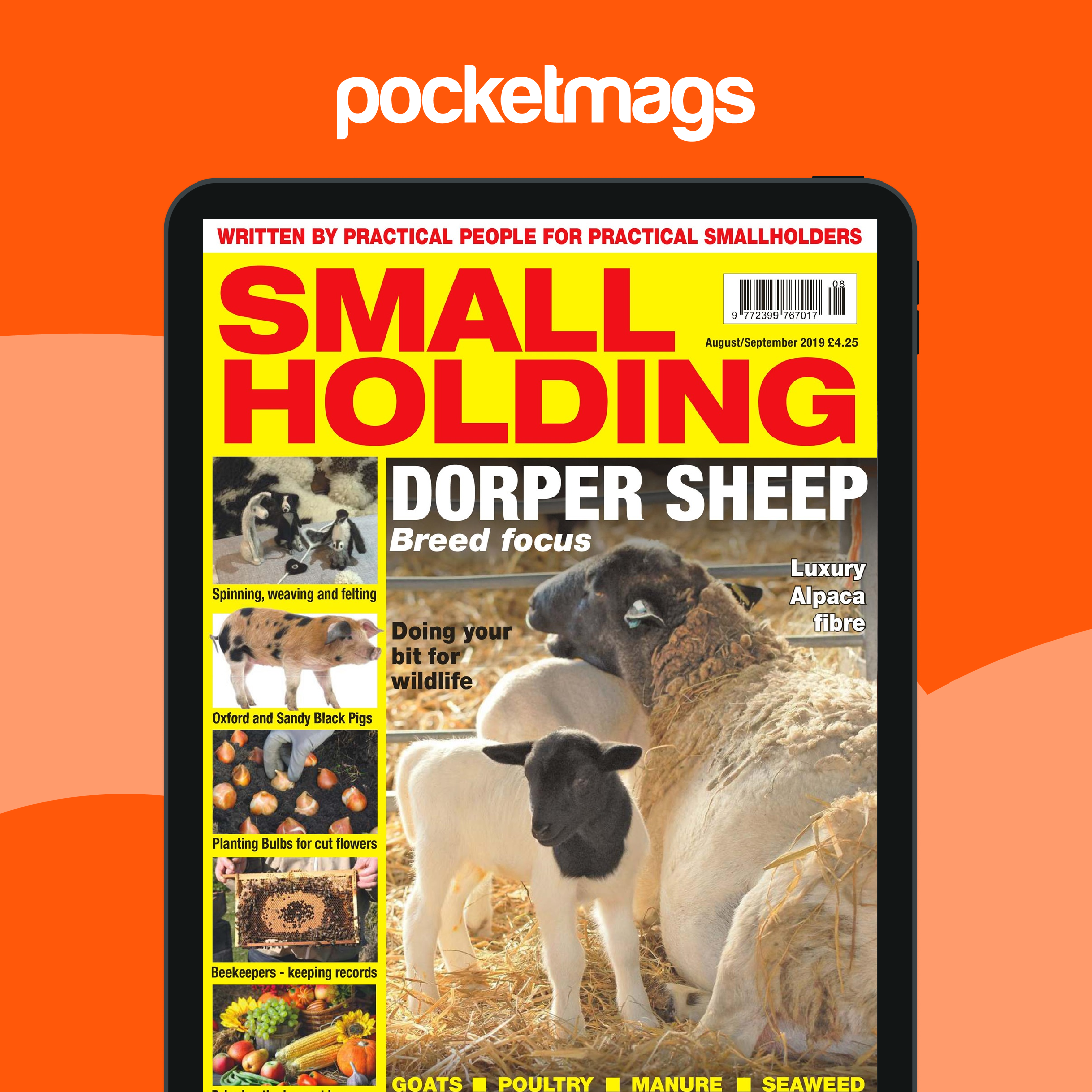 The Smallholder Magazine - Aug/Sep 2019 Edición anterior