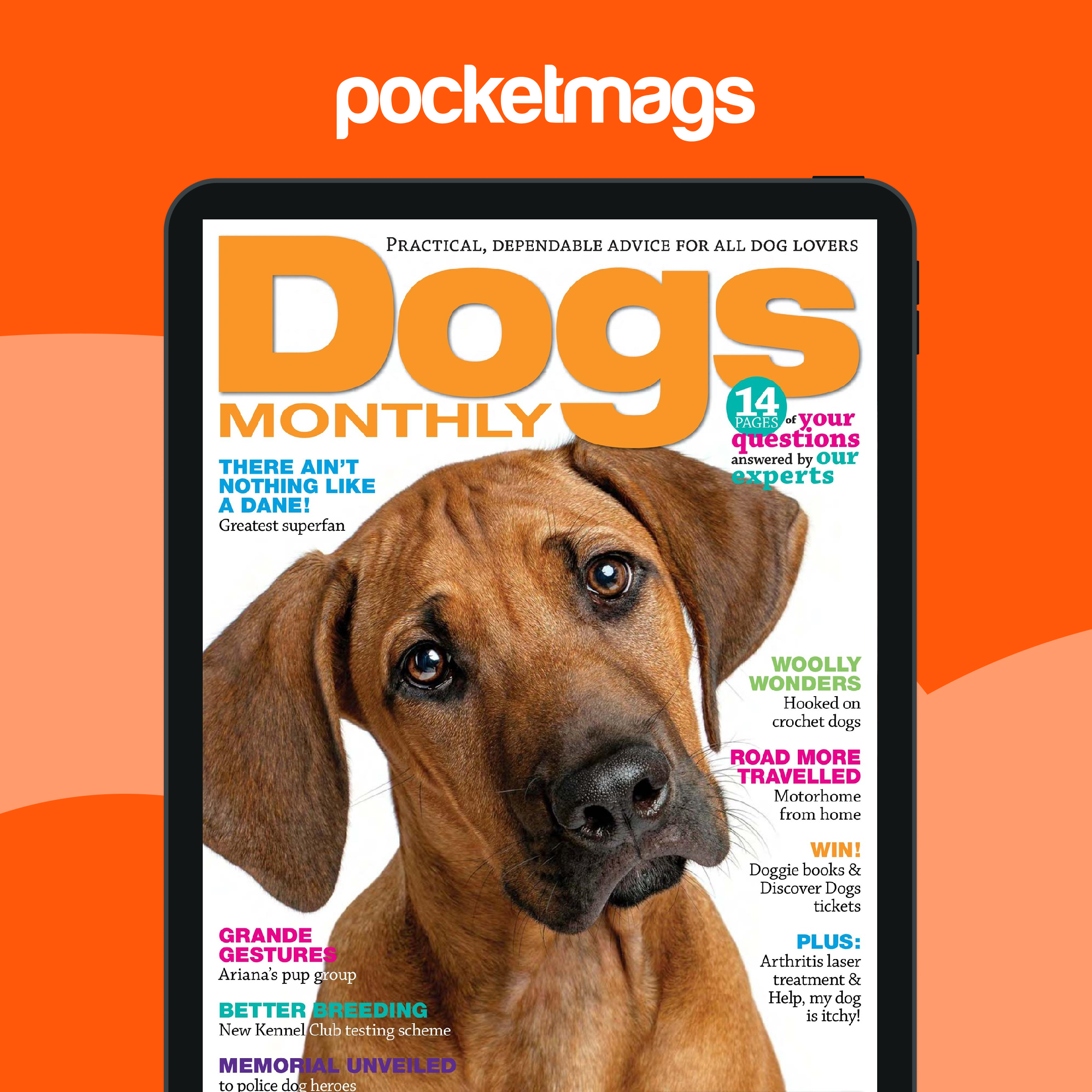 Dogs Monthly Magazine - September 2019 Back Issue