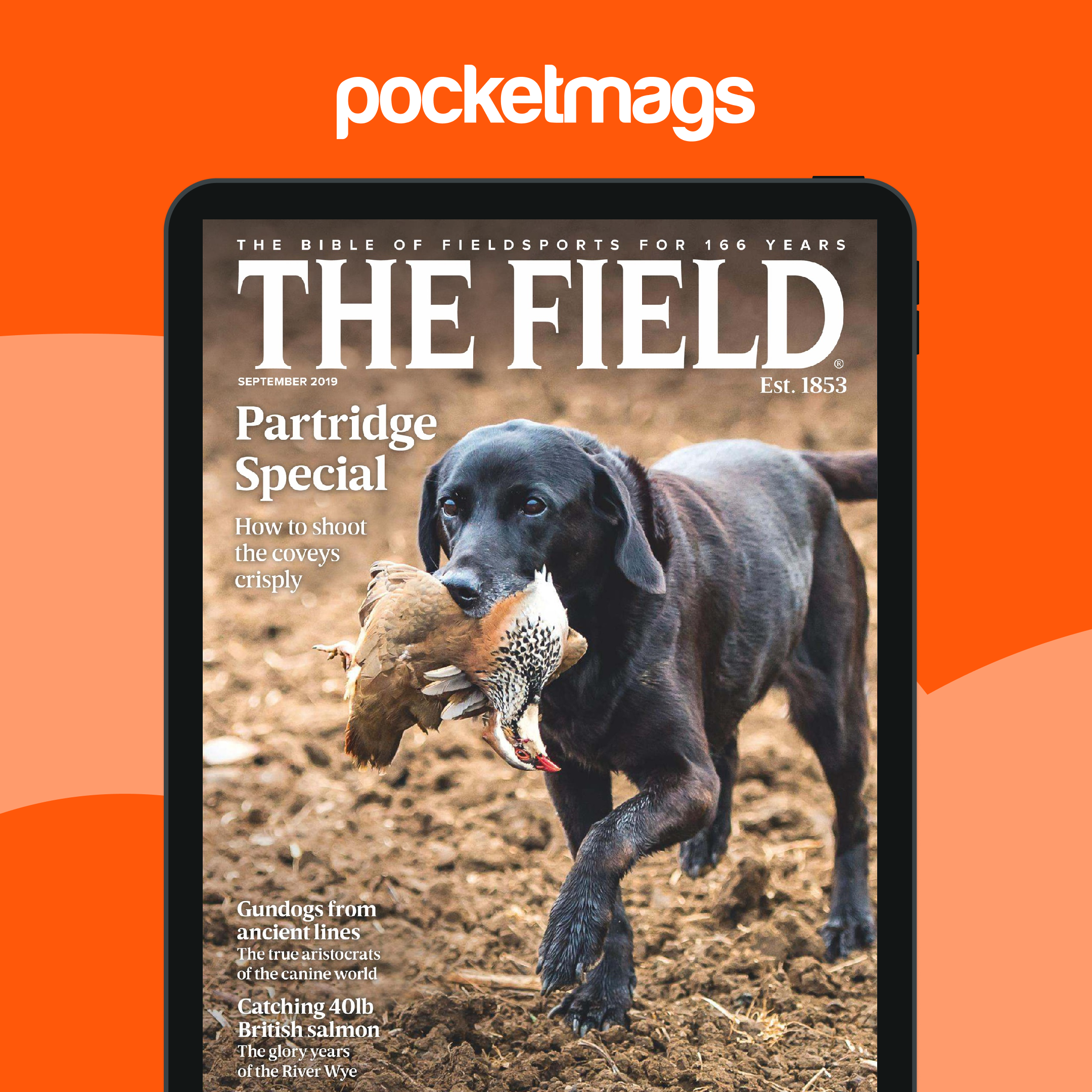 The Field Magazine - September 2019 Back Issue