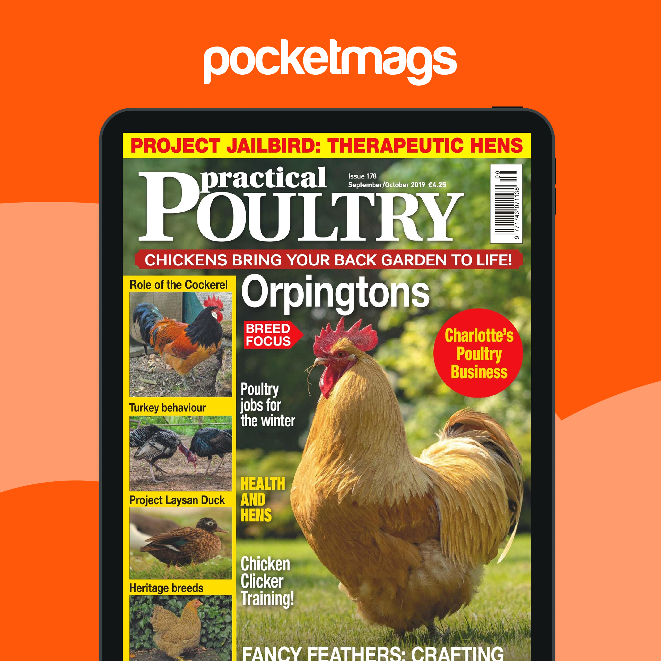 Practical Poultry Magazine - Sep/Oct 19 Back Issue