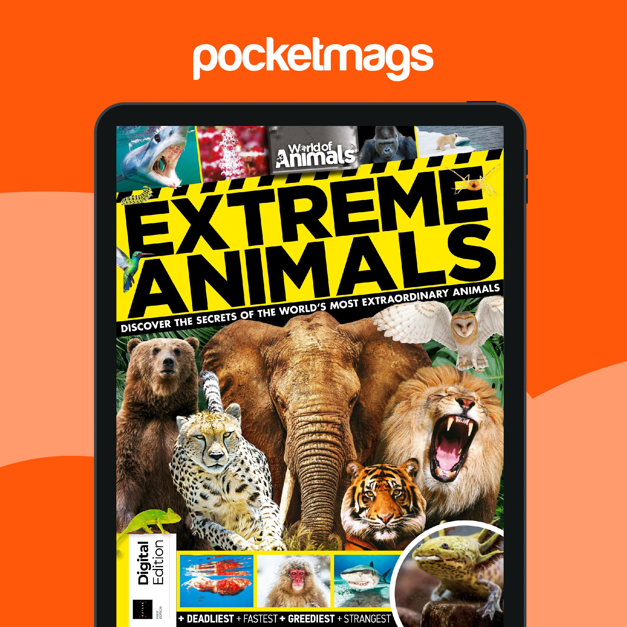 Future Guides & Specials Magazine - World of Animals Extreme Animals ...