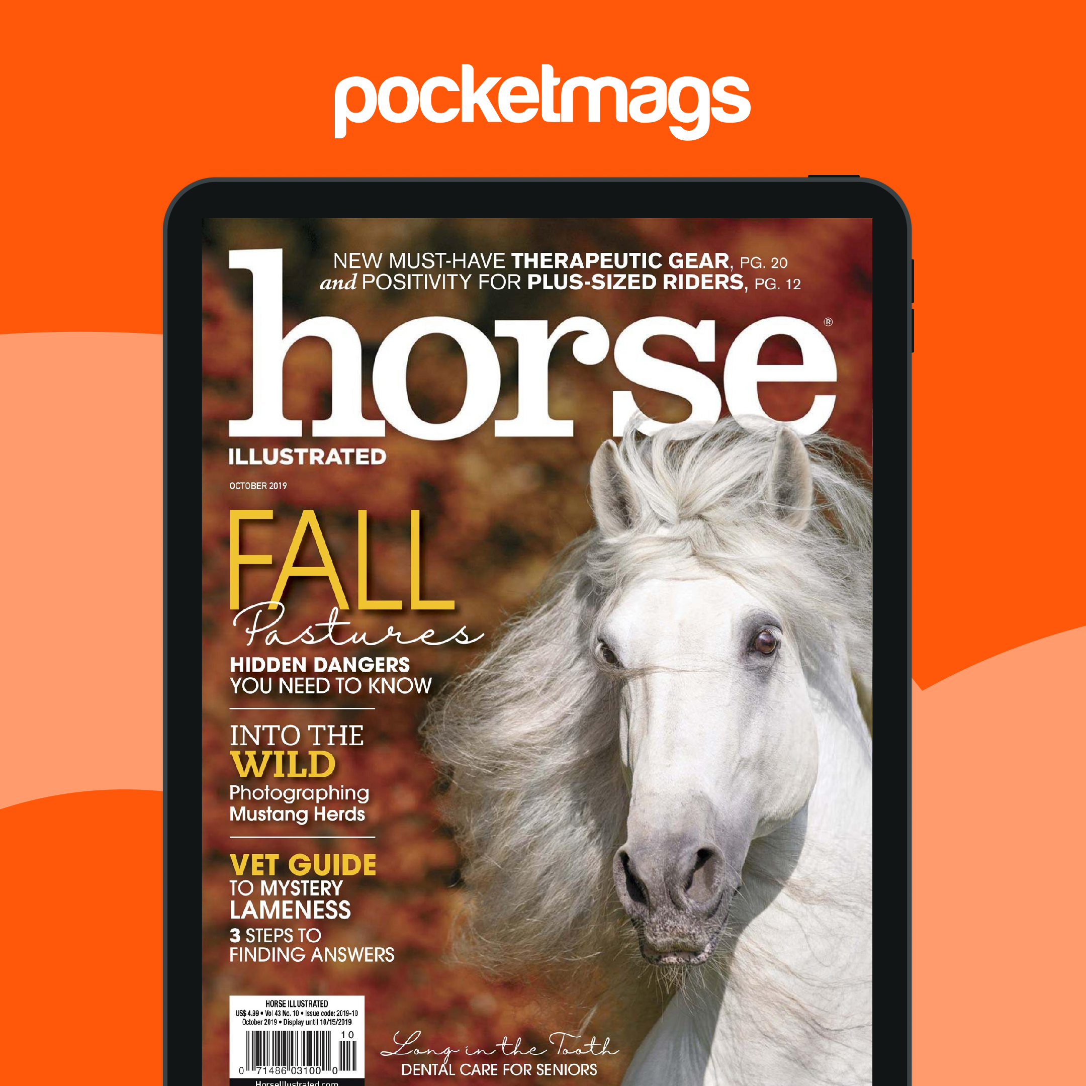 Horse Illustrated Magazine - Oct 2019 Edición anterior