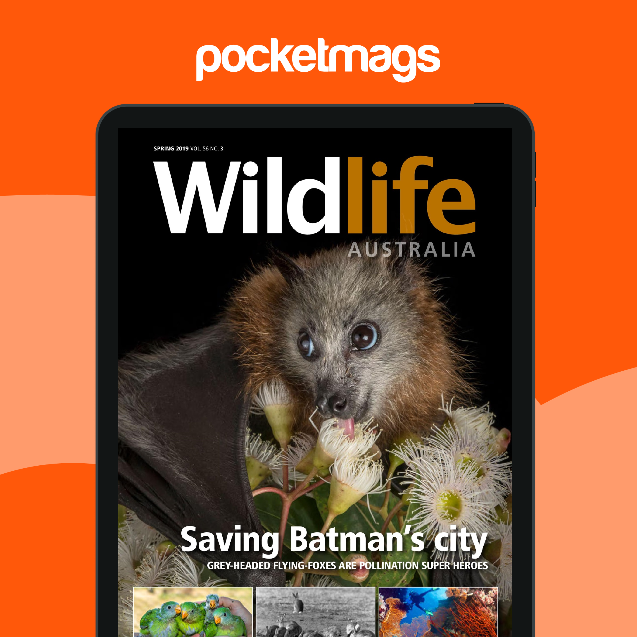 Wildlife Australia Magazine - Wildlife Australia Magazine Spring 2019 ...