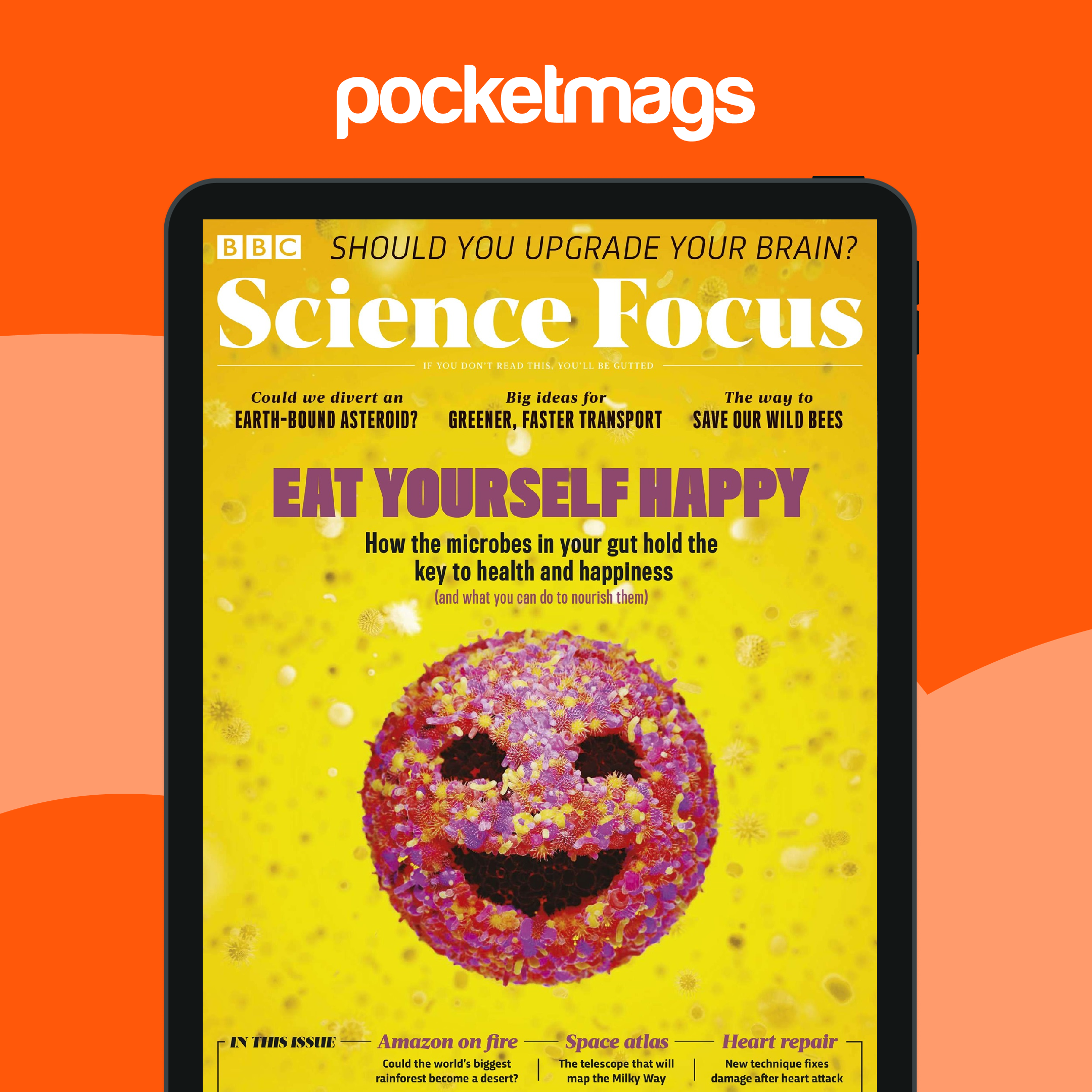 BBC Science Focus Magazine - October 2019 Edición anterior