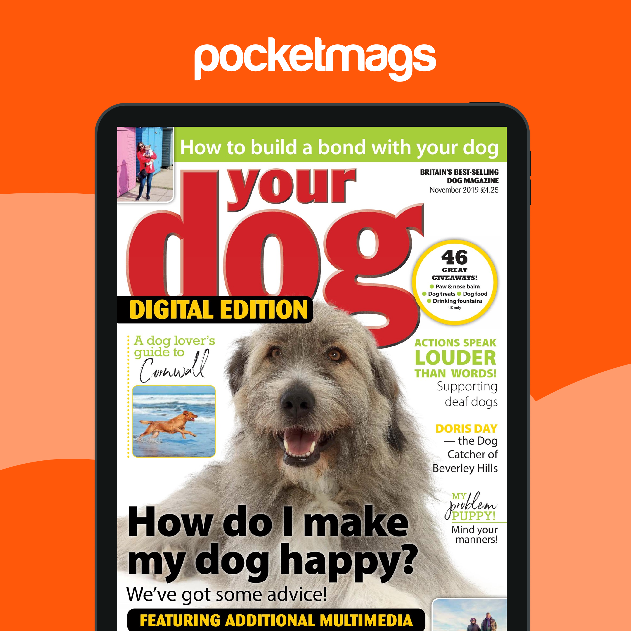Your Dog Magazine - Your Dog Magazine November 2019 Back Issue