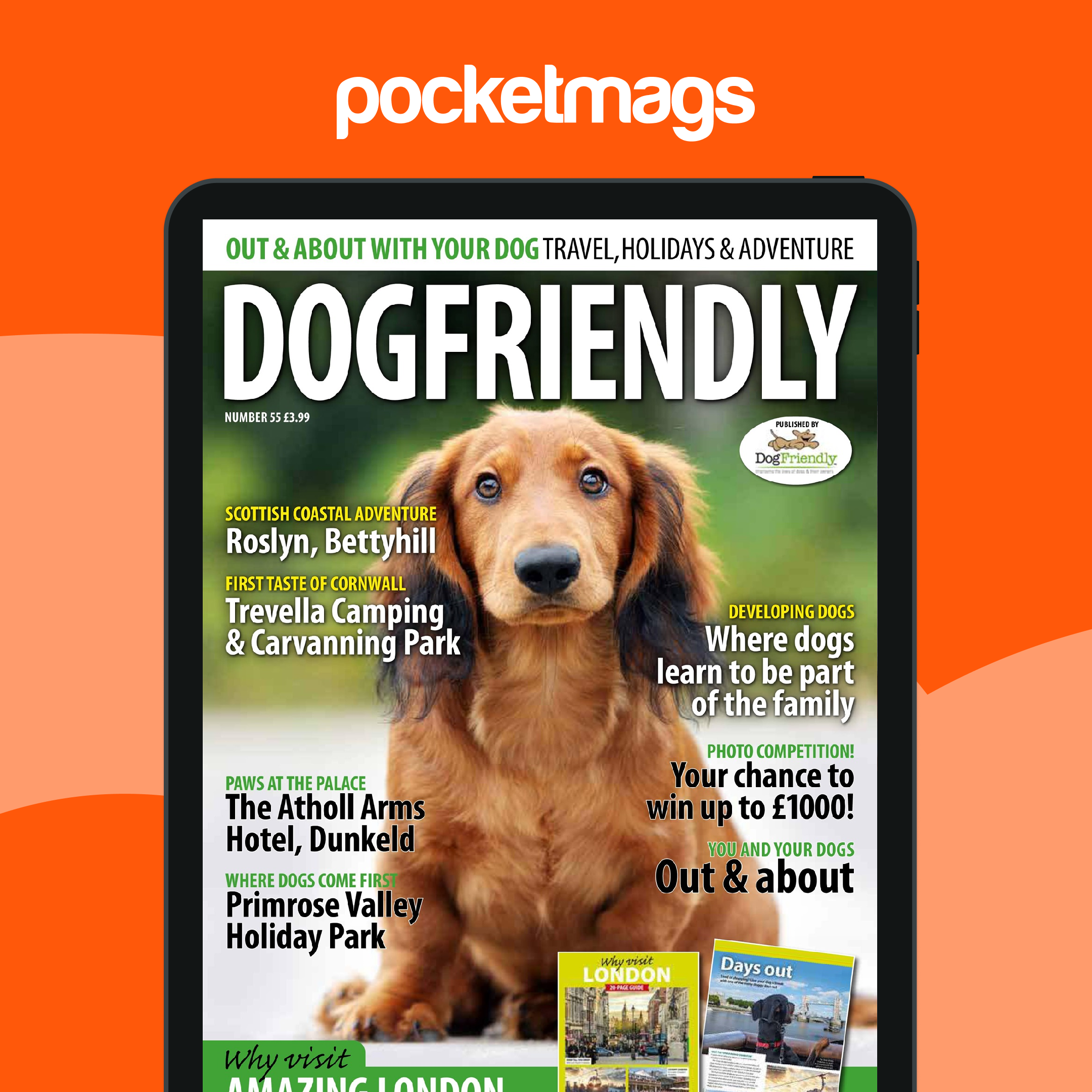 Dog Friendly Magazine - Sept-Oct 2019 Back Issue