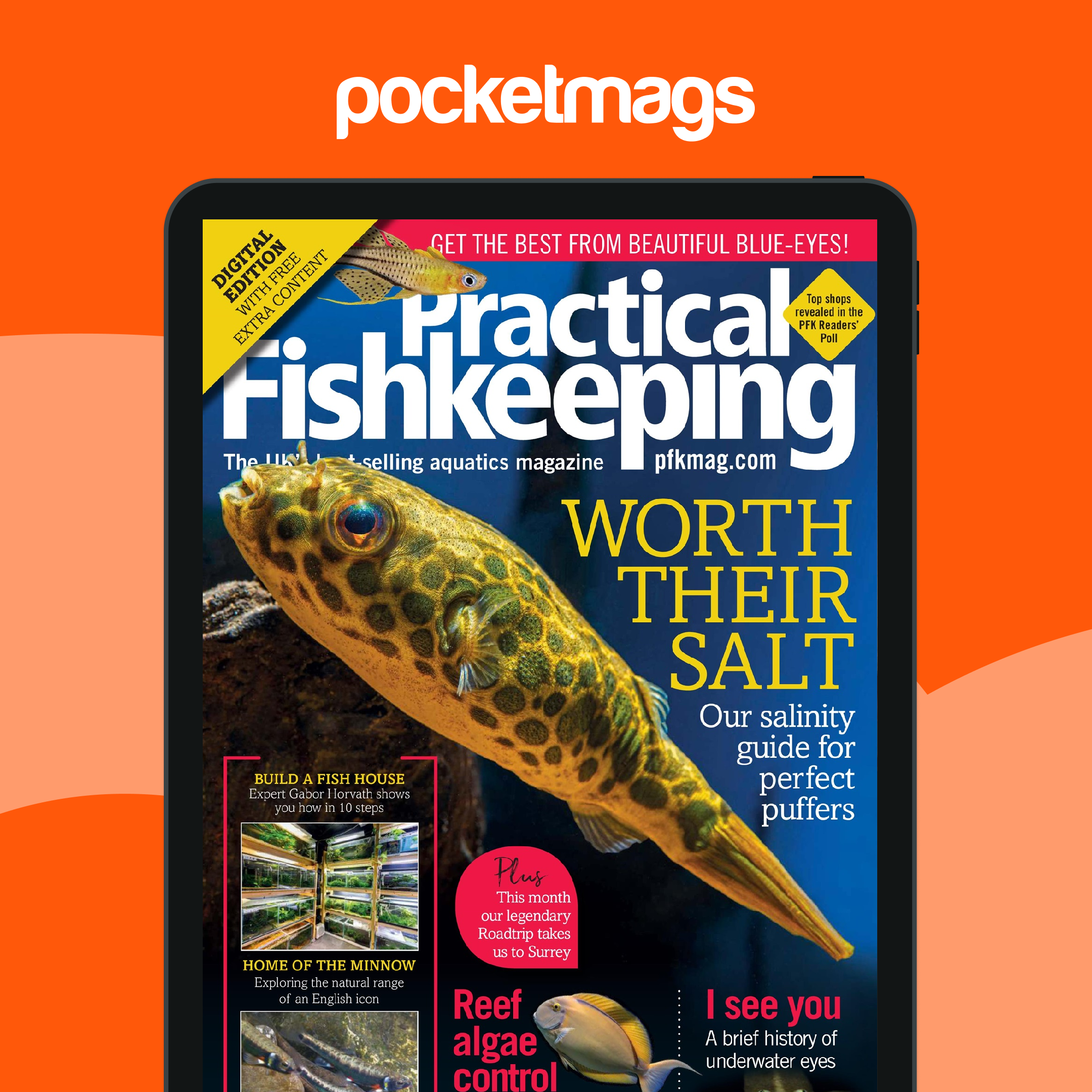 Practical Fishkeeping Magazine - Practical Fishkeeping Magazine ...
