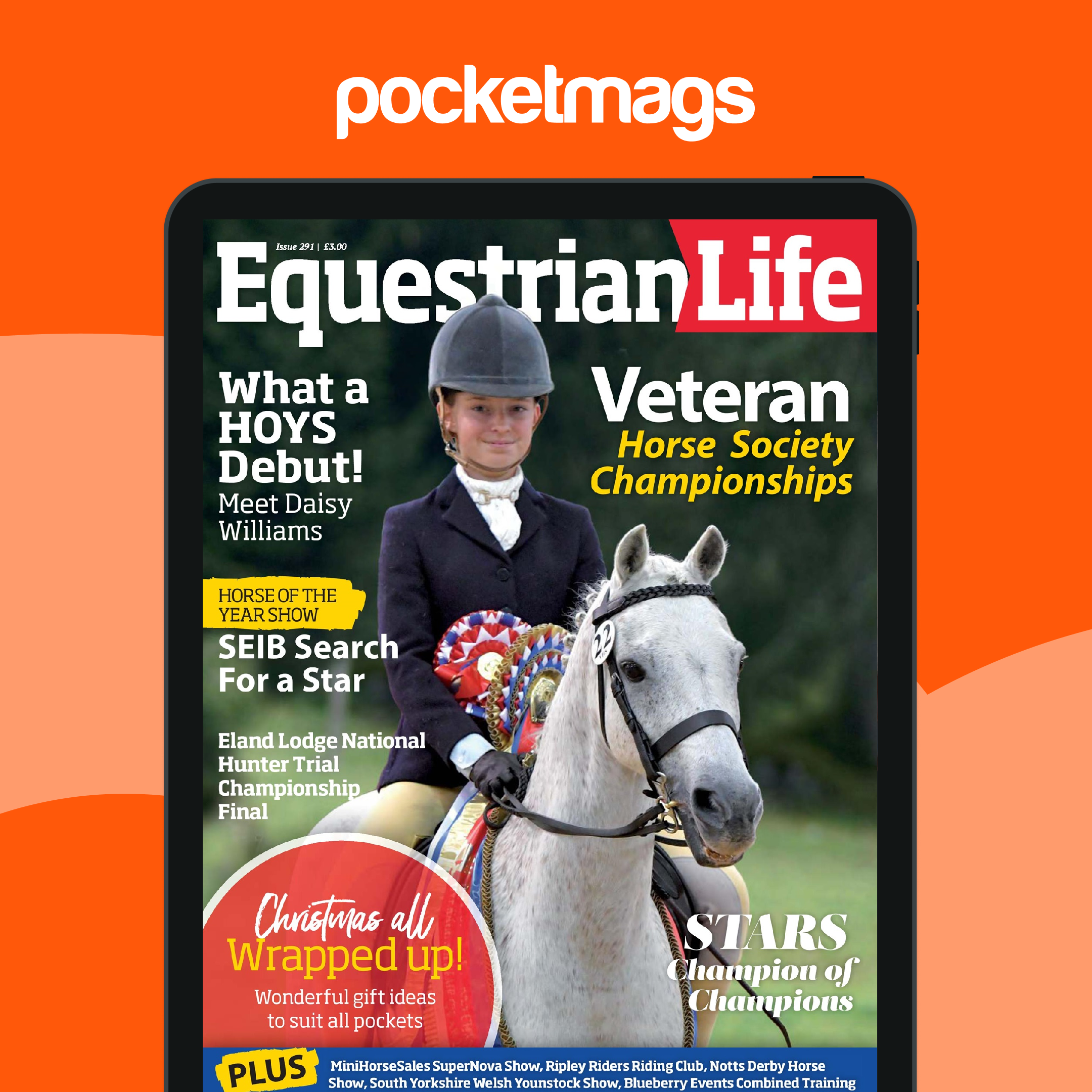 Equestrian Life Magazine - Nov 2019 Edición anterior