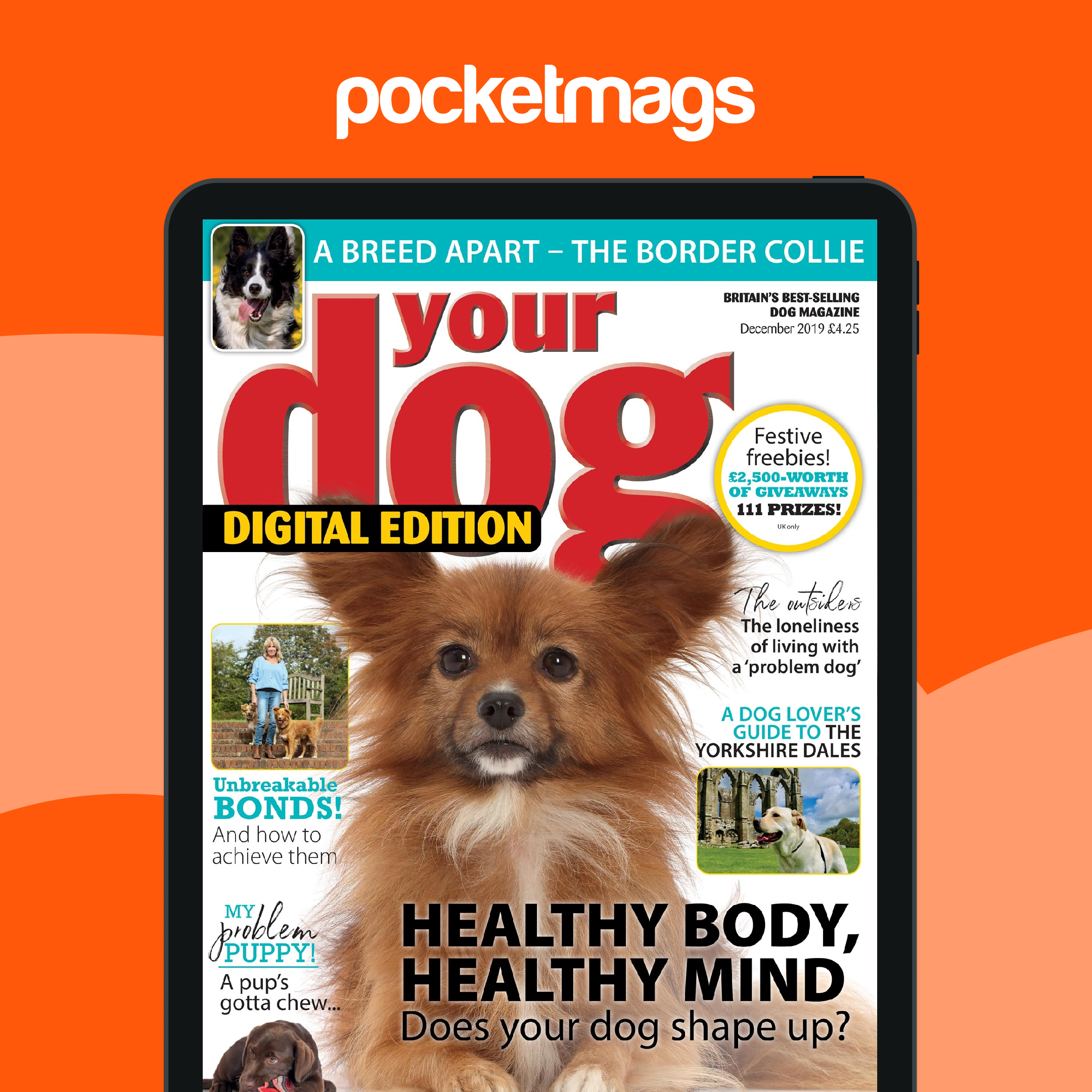 Your Dog Magazine - Your Dog Magazine December 2019 Back Issue