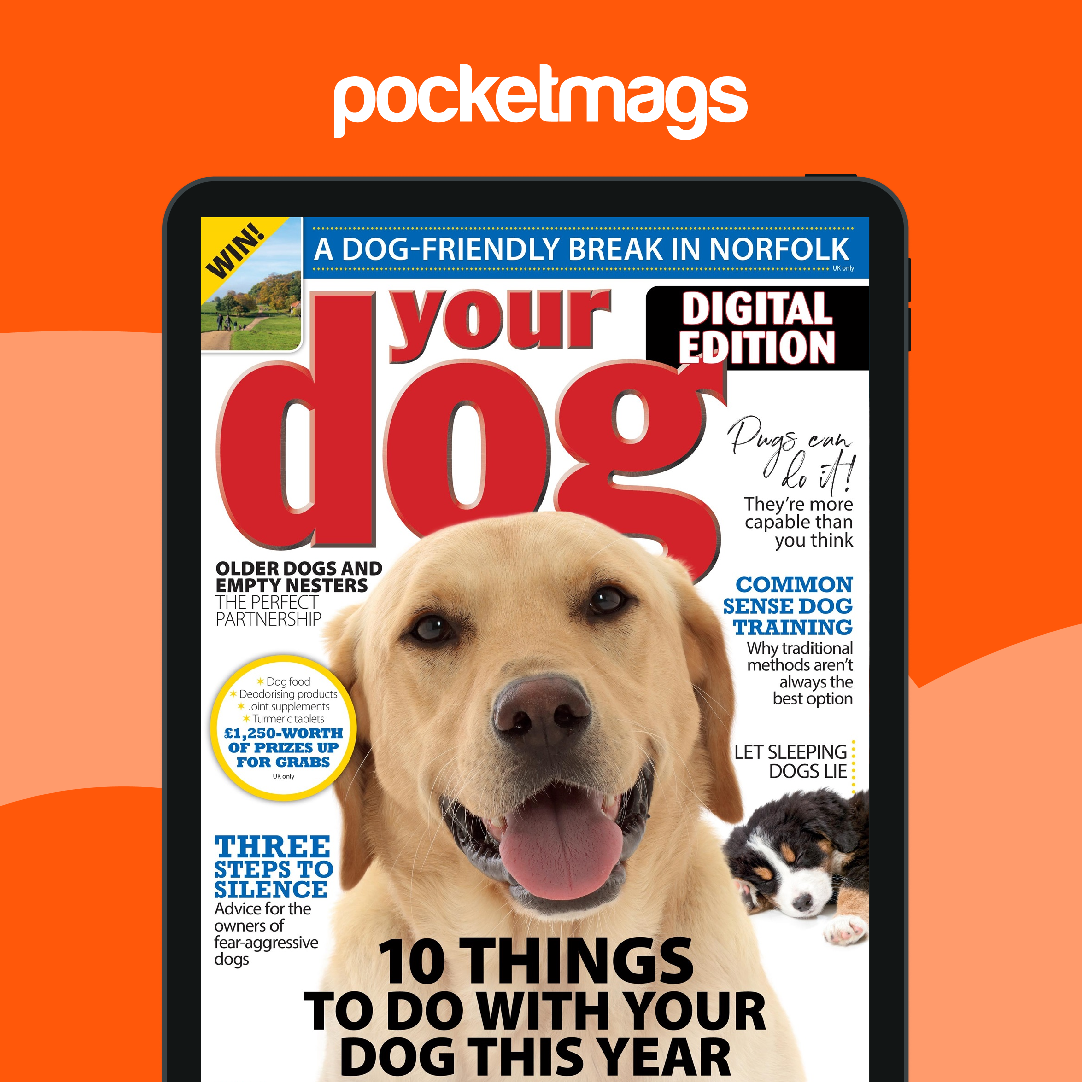 Your Dog Magazine - Your Dog Magazine January 2020 Back Issue