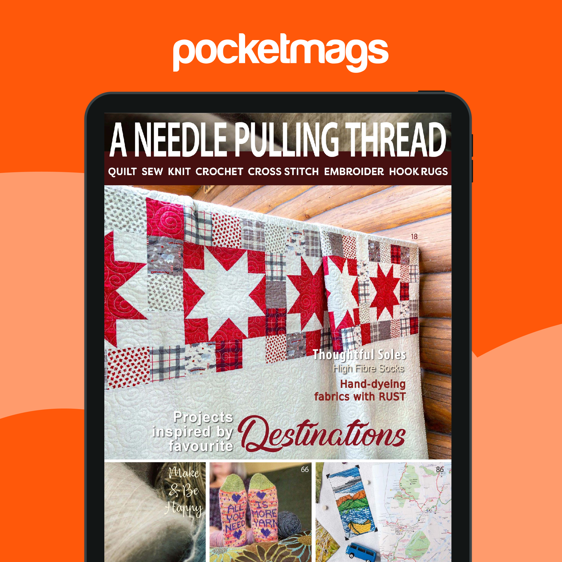 A Needle Pulling Thread Magazine - Issue 51 Edición anterior