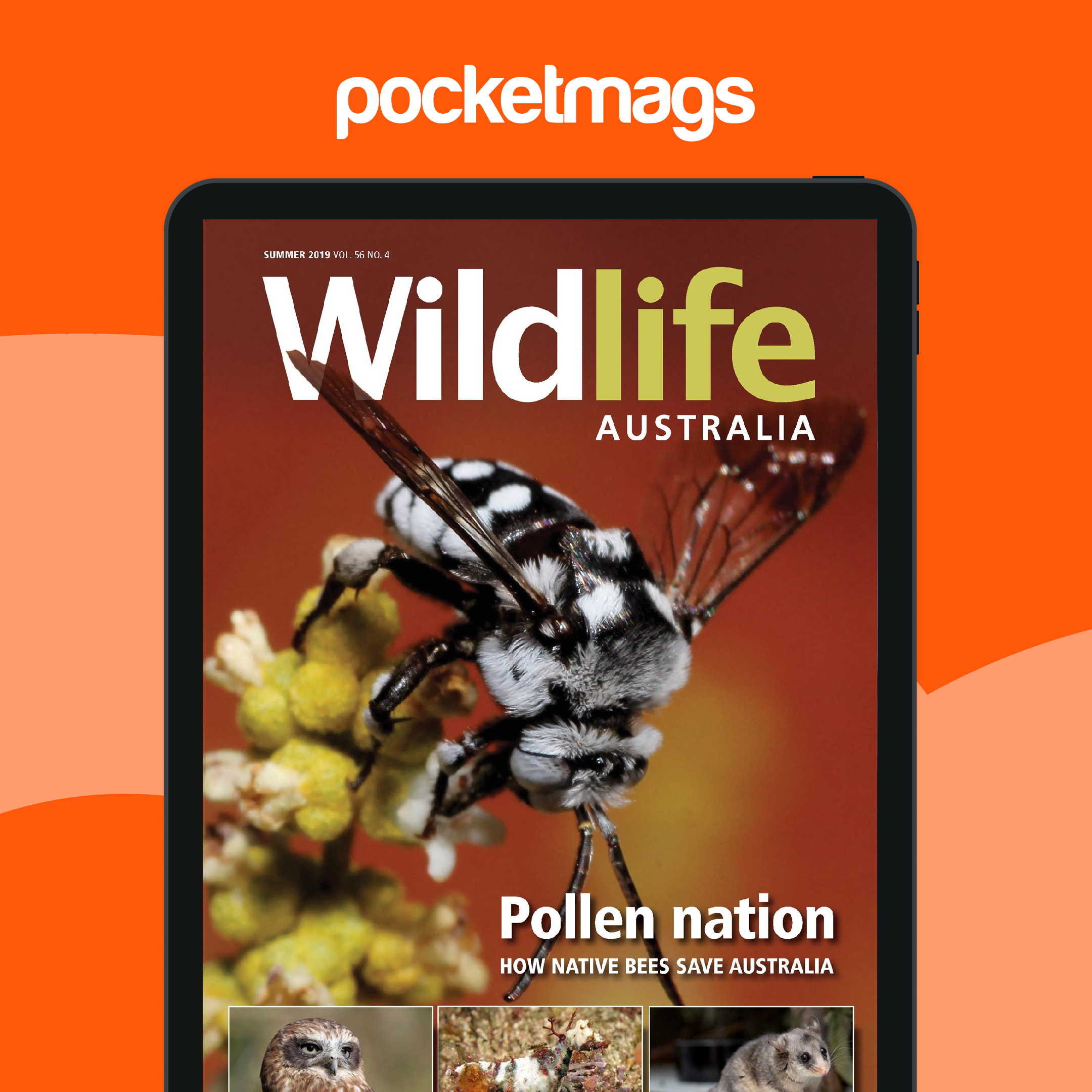 Wildlife Australia Magazine - Wildlife Australia Magazine Summer 2019 ...