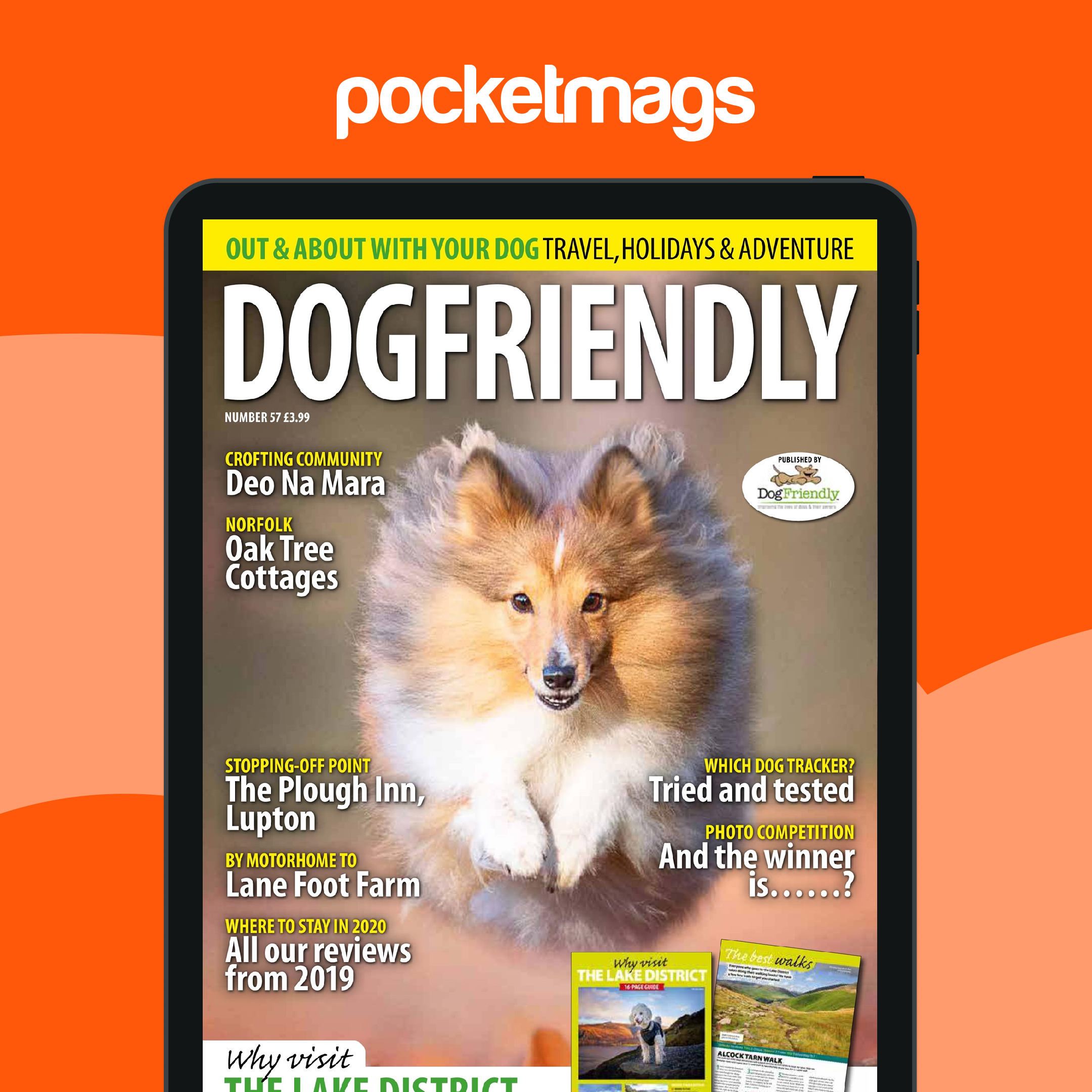 Dog Friendly Magazine - Jan-Feb 2020 Back Issue