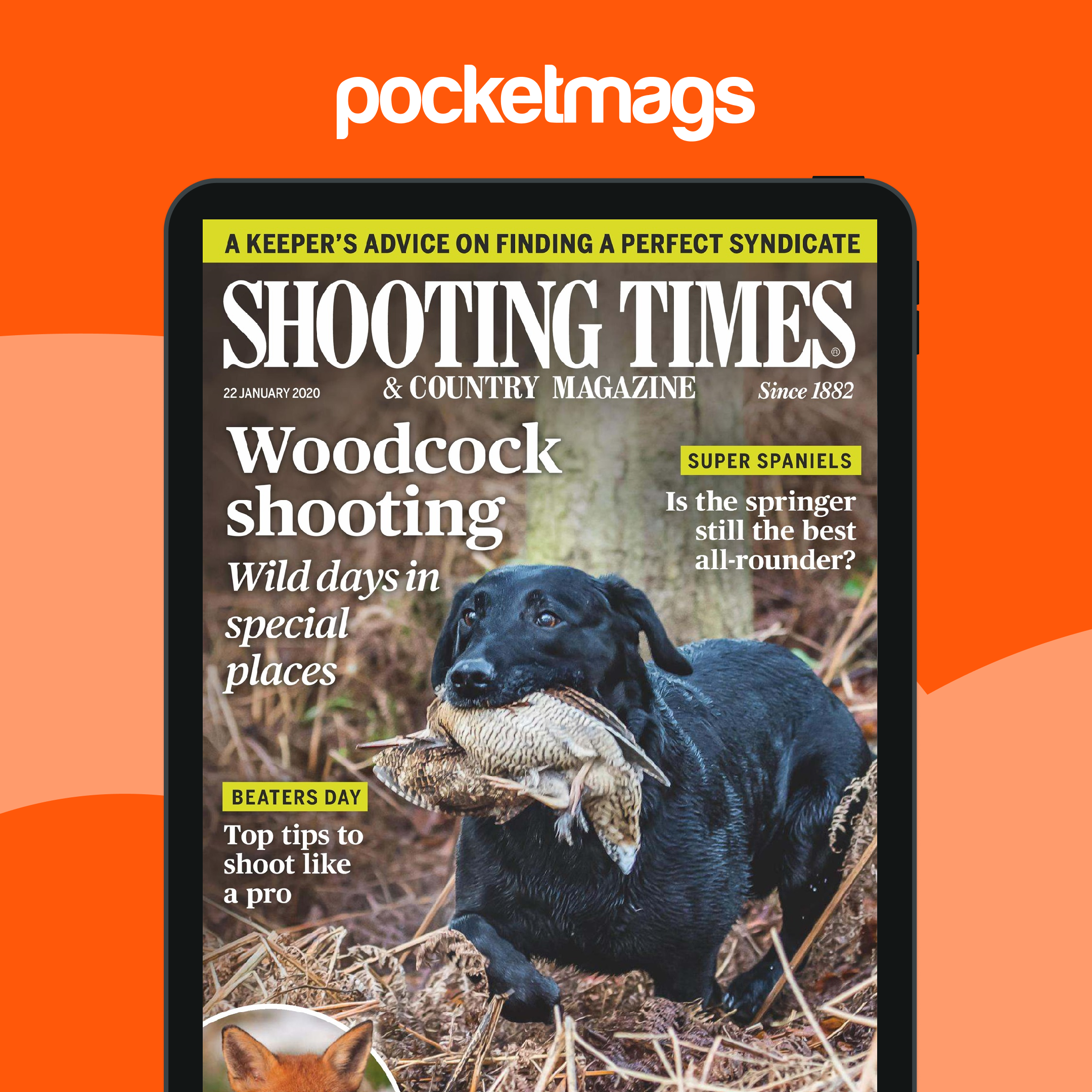 Shooting Times & Country Magazine - 22-Jan-2020 Edición anterior