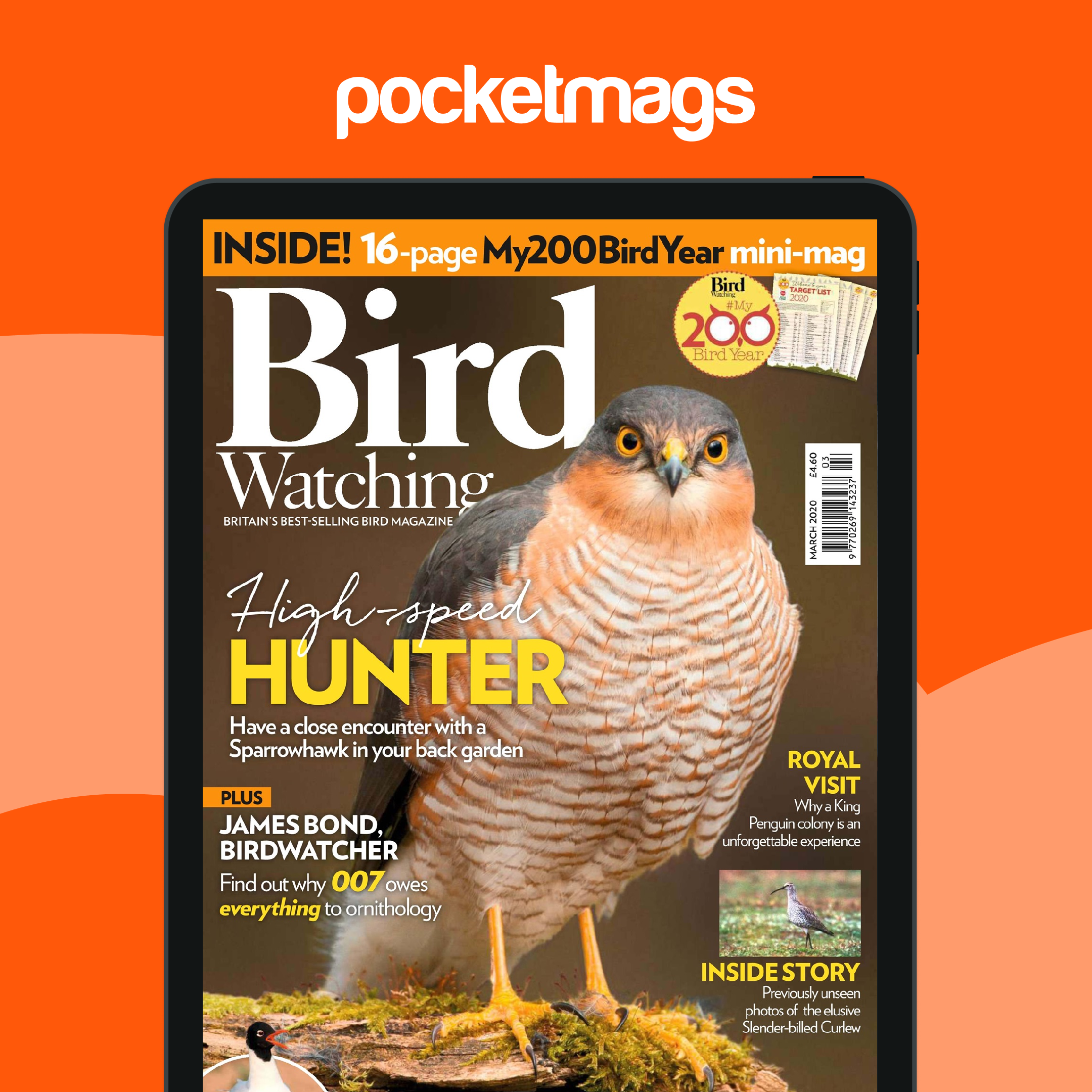 Bird Watching Magazine - Mar 20 Retour à l'édition précédente
